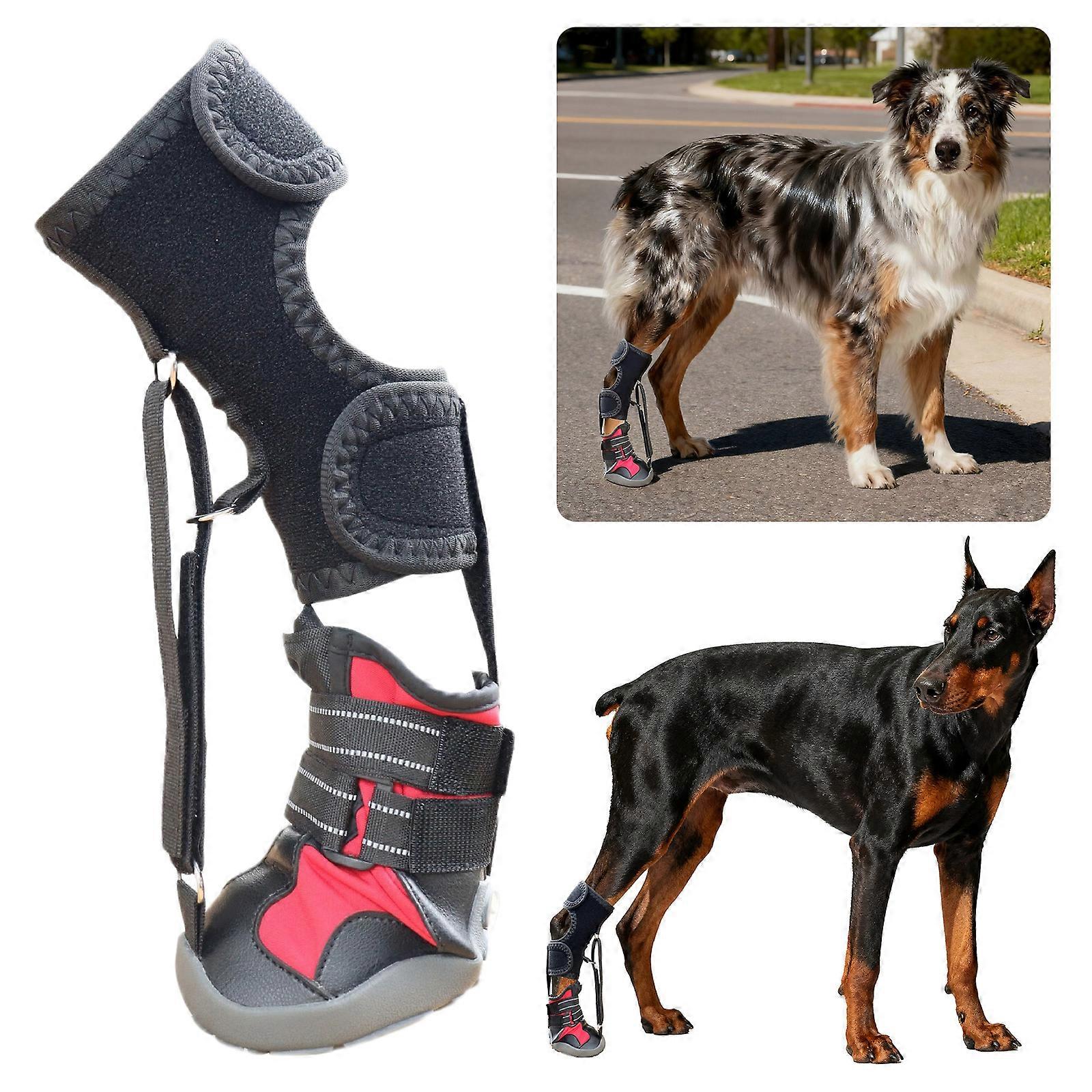 Corrective Dog Shoes Drop Foot Brace with Reel for Dog with Foot Issue ...