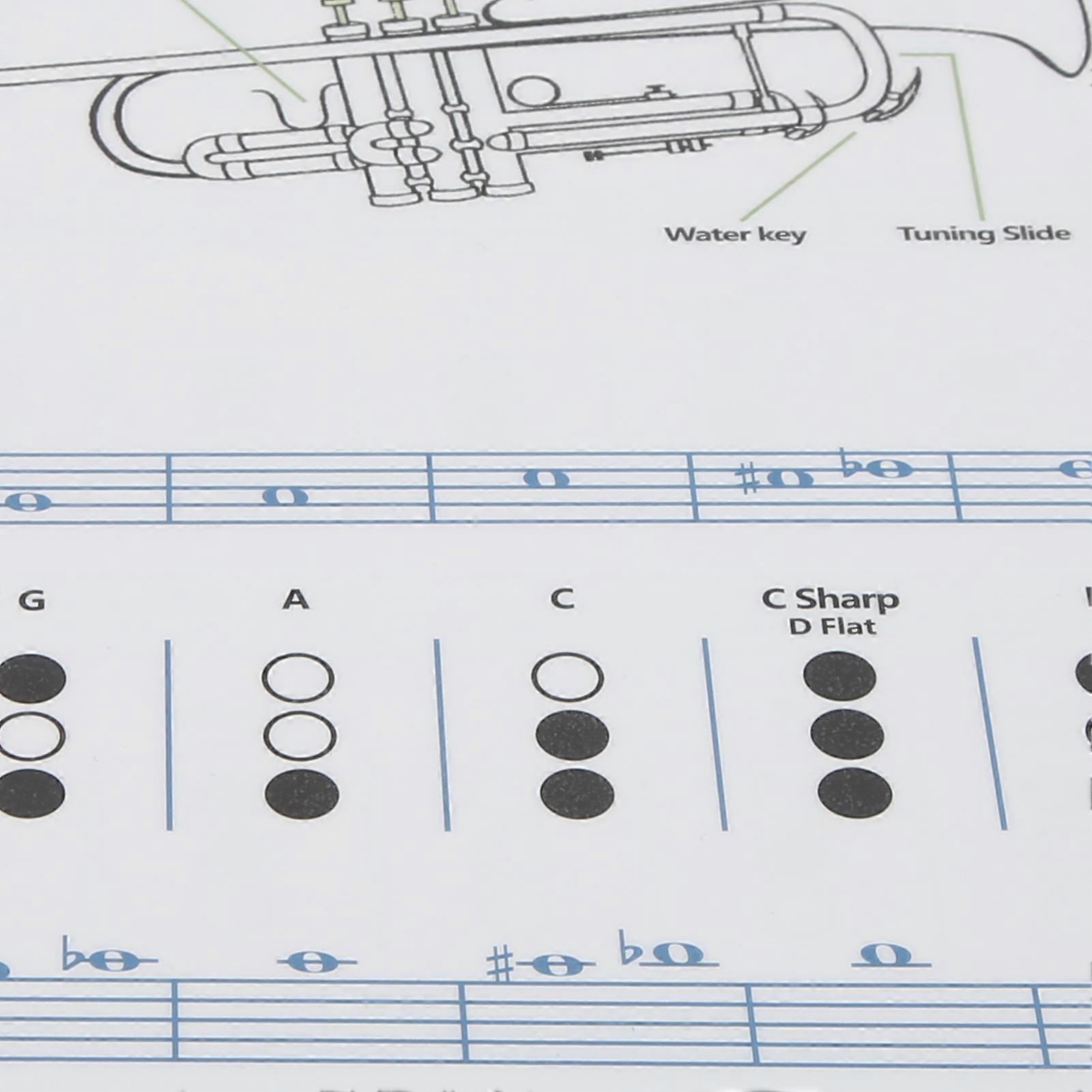Trumpet Chord Chart Fingering Note Music Instrument Reference Guide for ...