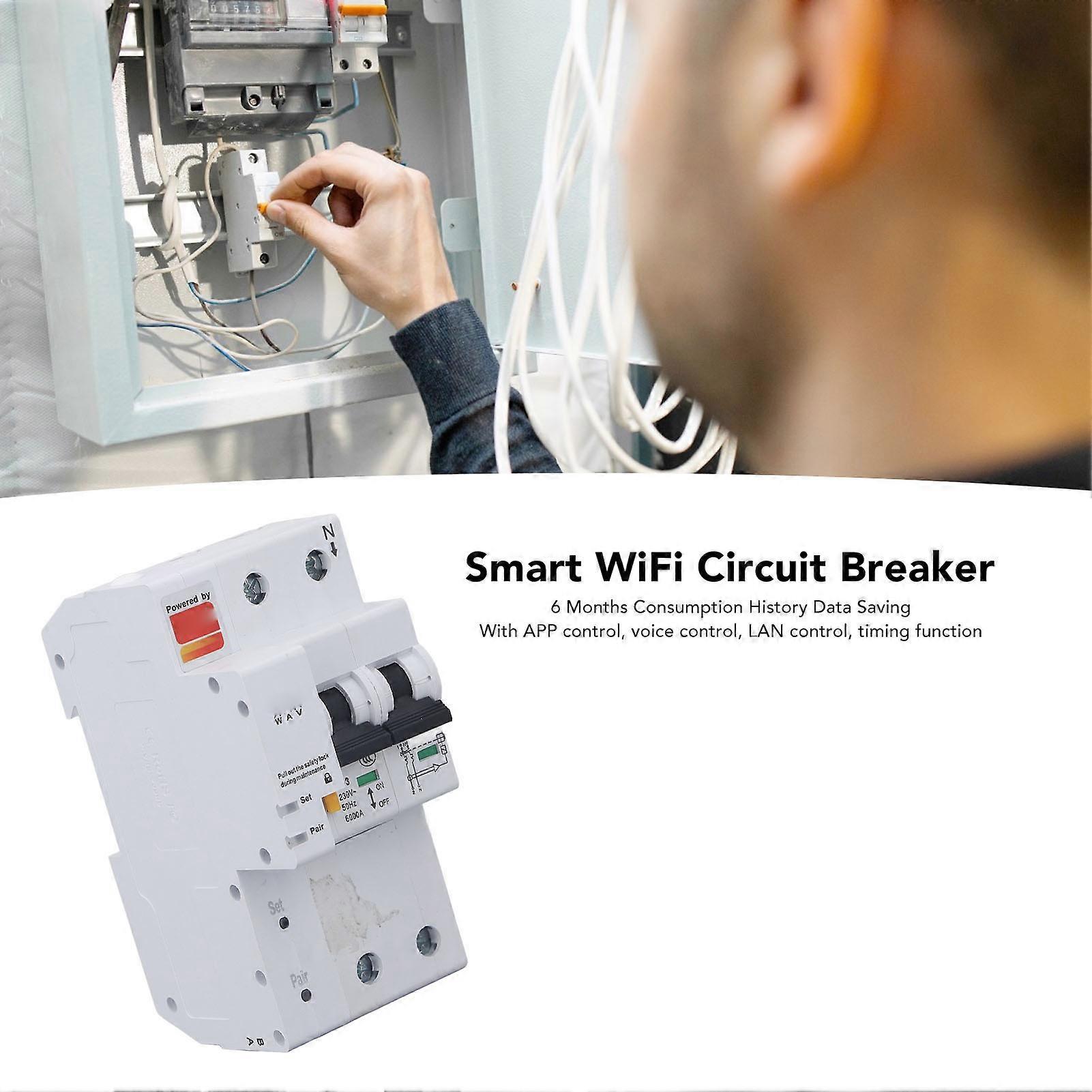 Smart WiFi Circuit Breaker 2P Voice Phone Remote Control Circuit ...