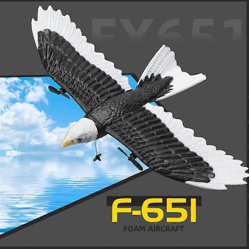 FX651 RC Plane Eagle Airplane Wingspan Glider 2.4G Radio Remote Control ...