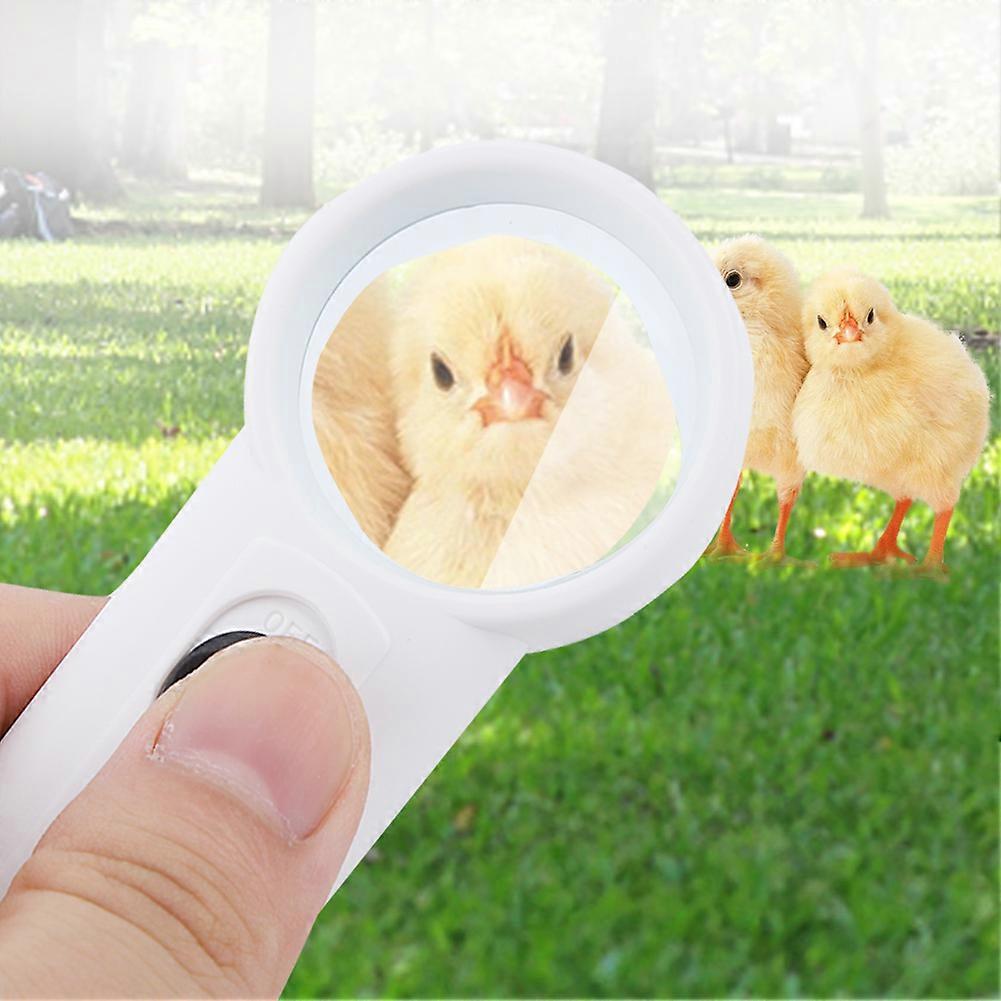 10X Mini Magnifying Glass with LED Light | Fruugo UK