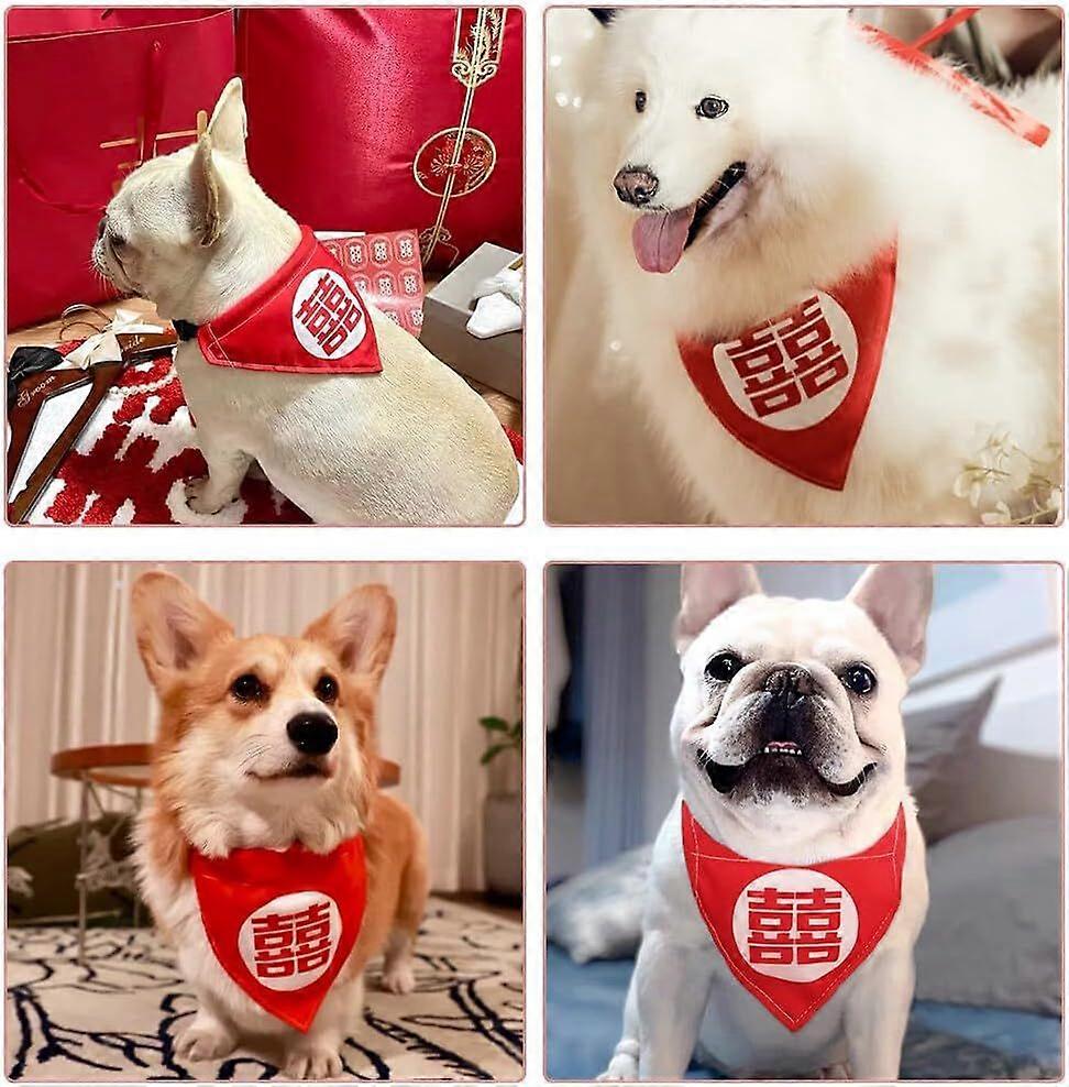 10 Pcs Cat Dog Collar Bells Pet Bell for Cat Collar Dog Collar ...