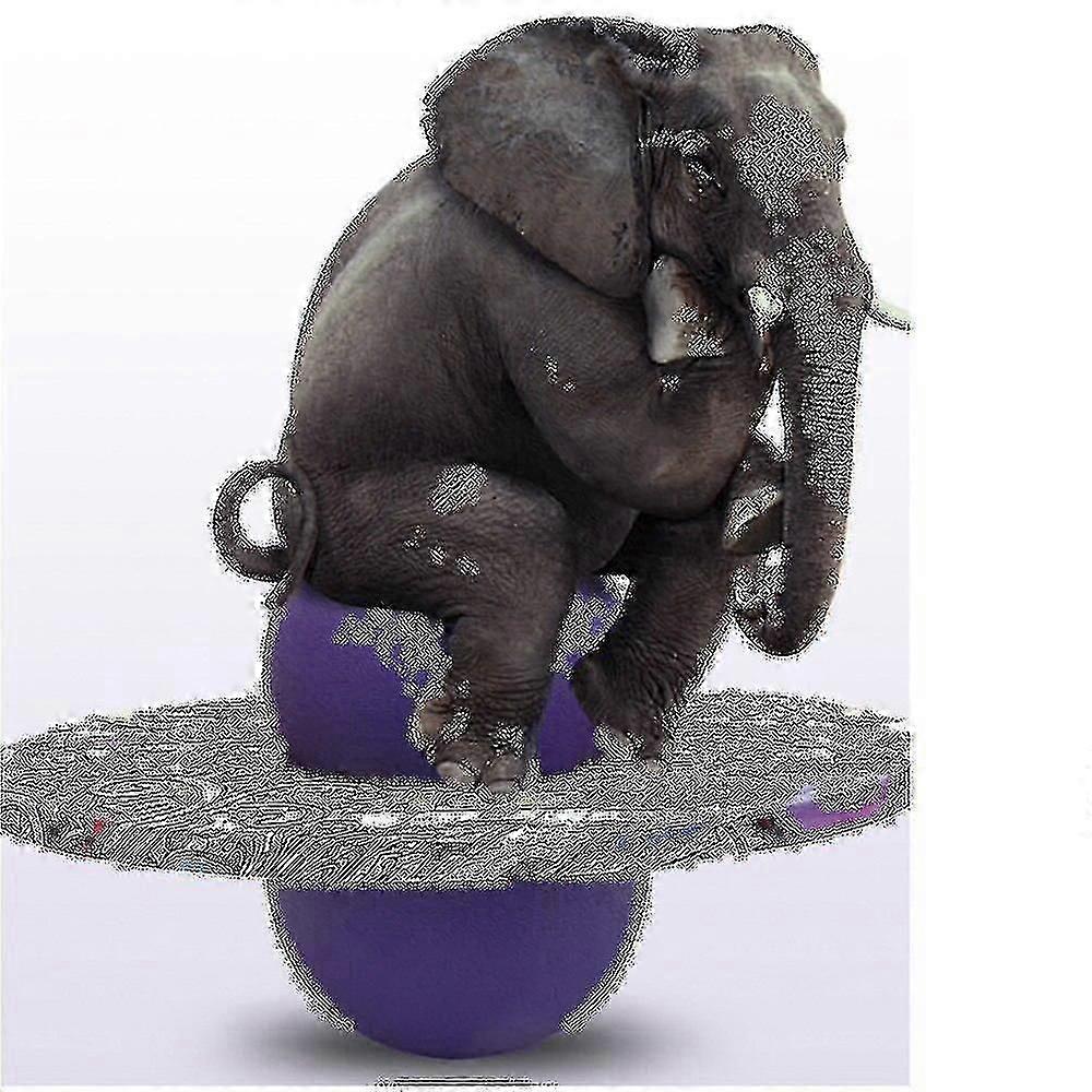 Gaibosi Pogo Jumping Ball Balance Board With Handle Explosion Proof ...