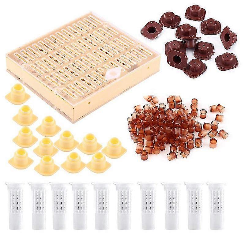 Essential Beekeeping Equipment Kit Queen Rearing for Beekeeping ...