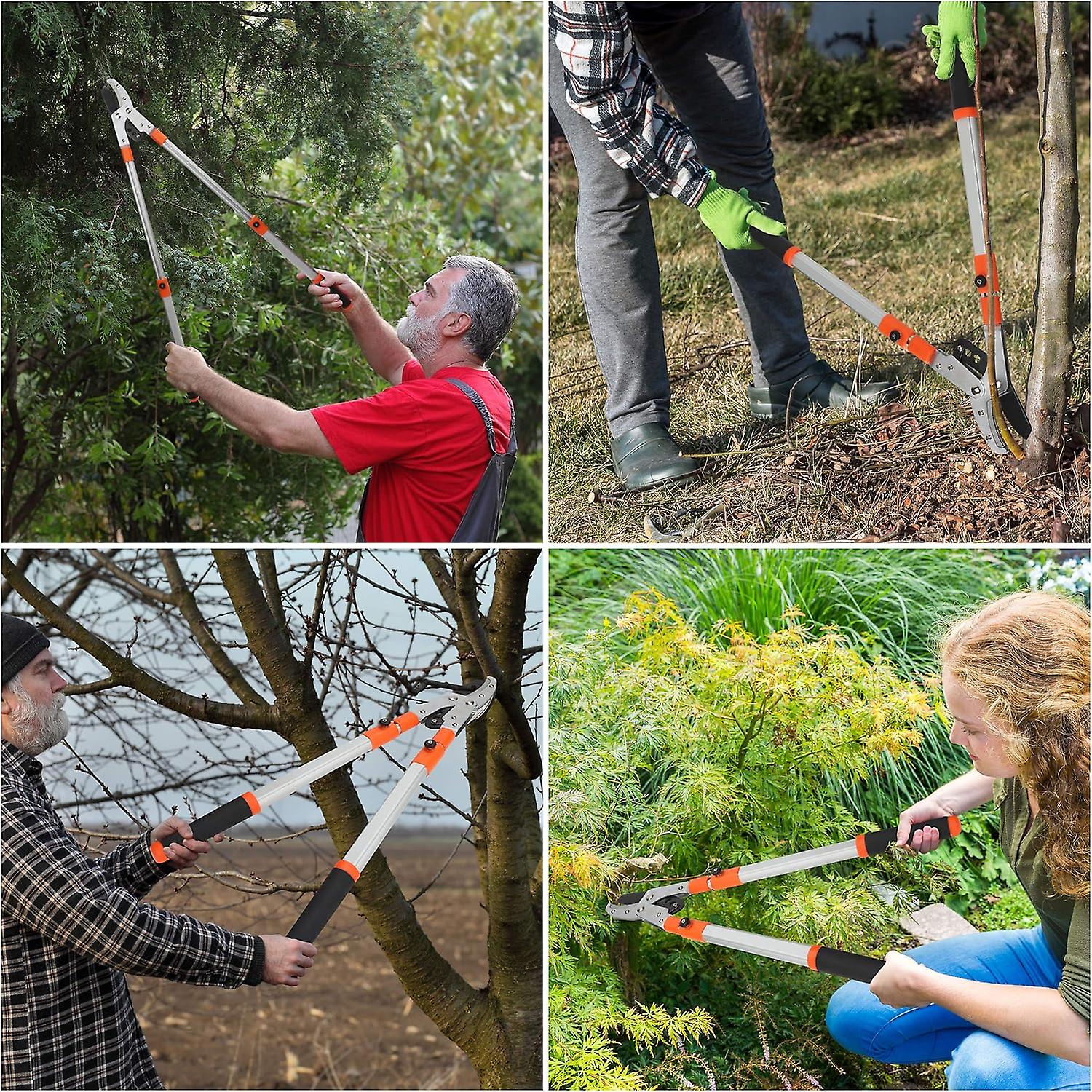 Robust Telescopic Branch Cutter - 67 to 100 cm - Extendable Garden ...