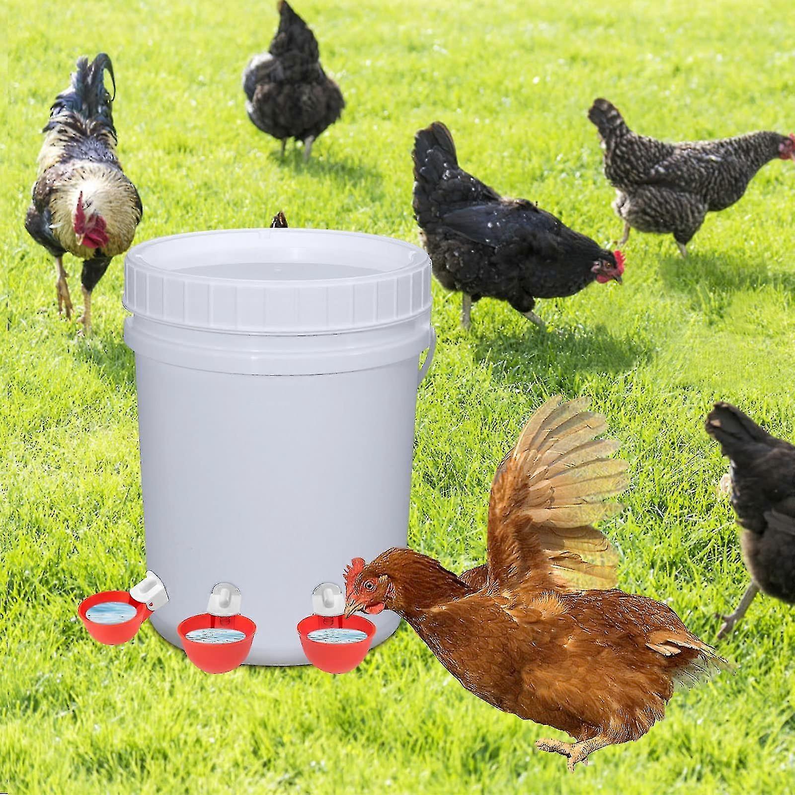 5 Piece Automatic Waterers Diy Kit Chicken Waterer Hen Waterer With ...
