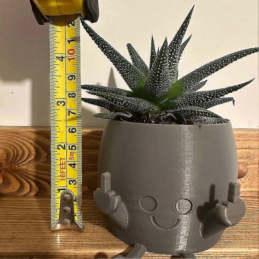 Smiling Plant Pot With Middle Fingers Up, Unique Cute Flower Pots For ...