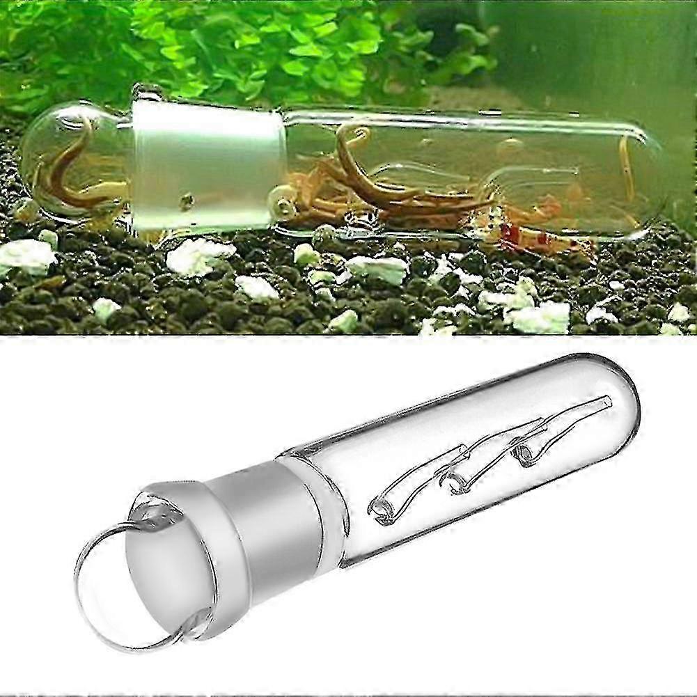 Glass 3-Hole Aquarium Pest Catcher Fish Tank Planaria Leech Worm Trap ...