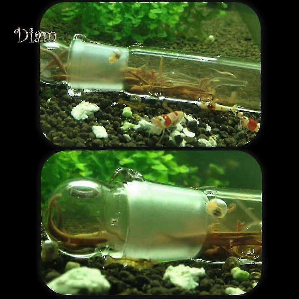 Glass 3-Hole Aquarium Pest Catcher Fish Tank Planaria Leech Worm Trap ...