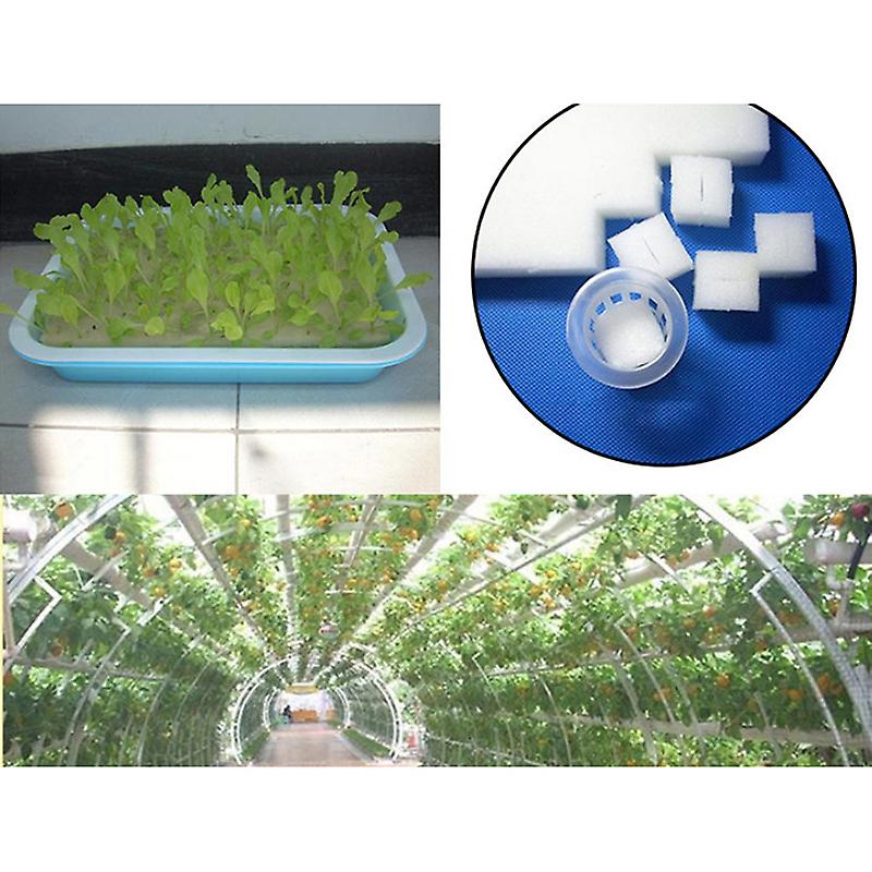 100 Pcs/lot Soilless Hydroponic Vegetables Nursery Pots Nursery Sponge ...