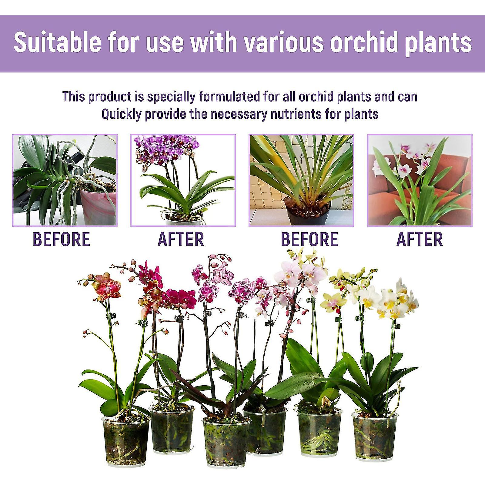 Orchid Plant Food Suitable For All Indoor Plants, Promoting Growth And ...