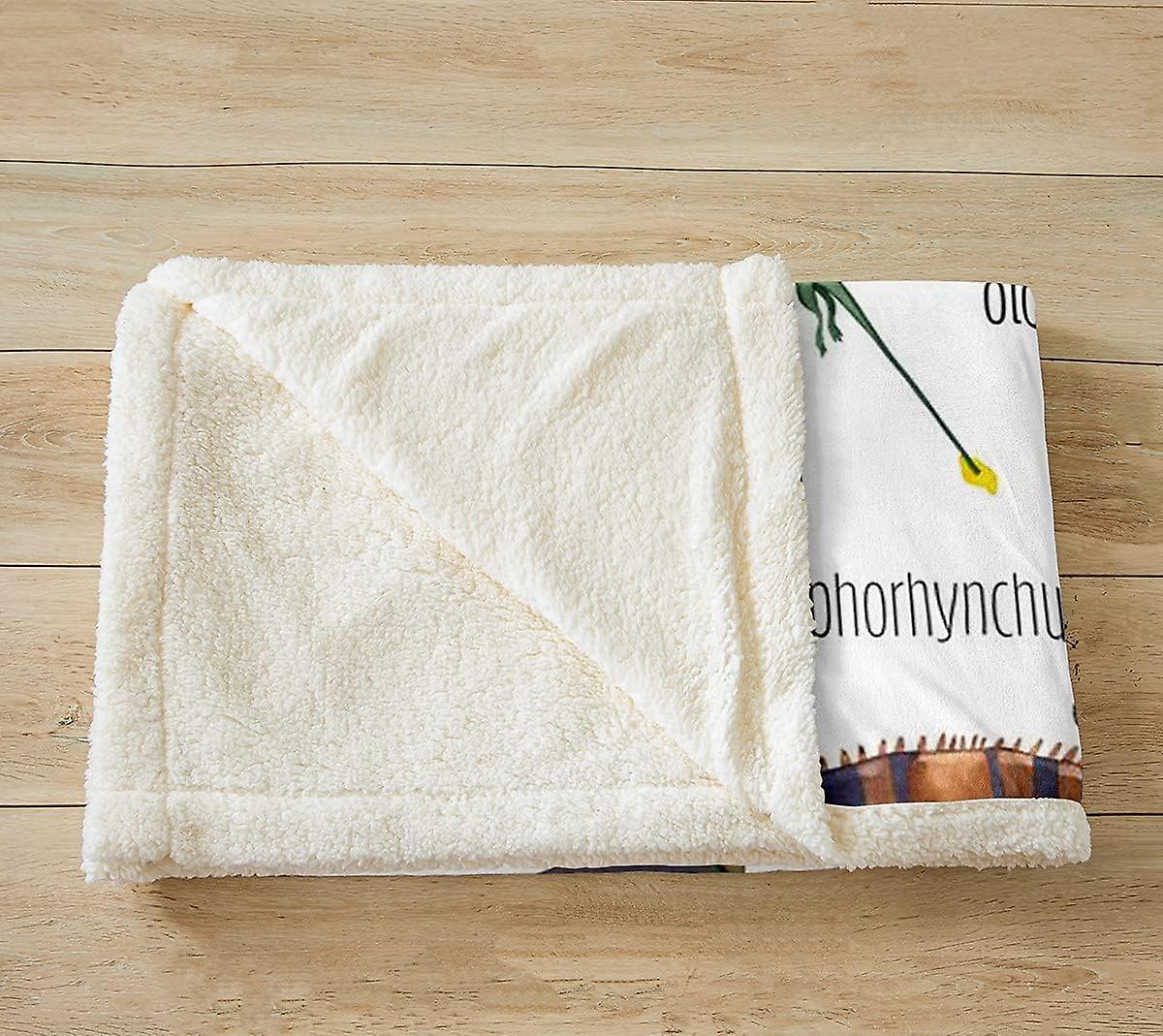 Dinosaur Throw Blanket Kids Cartoon Dino Collection Sherpa Blanket for ...