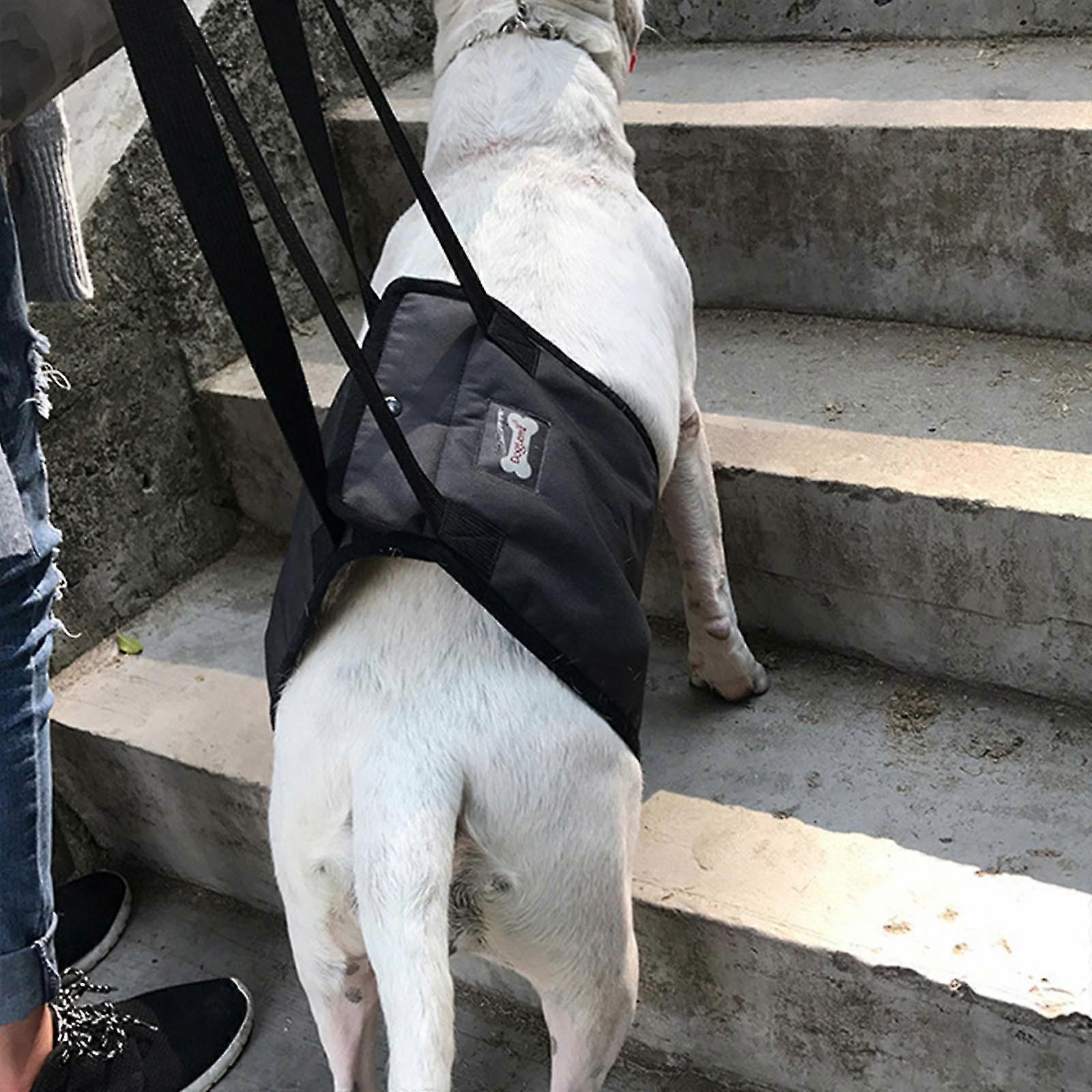 Black Dog Lift Harness, Dog Sling Dog Hip Harness Support To Help Lift ...