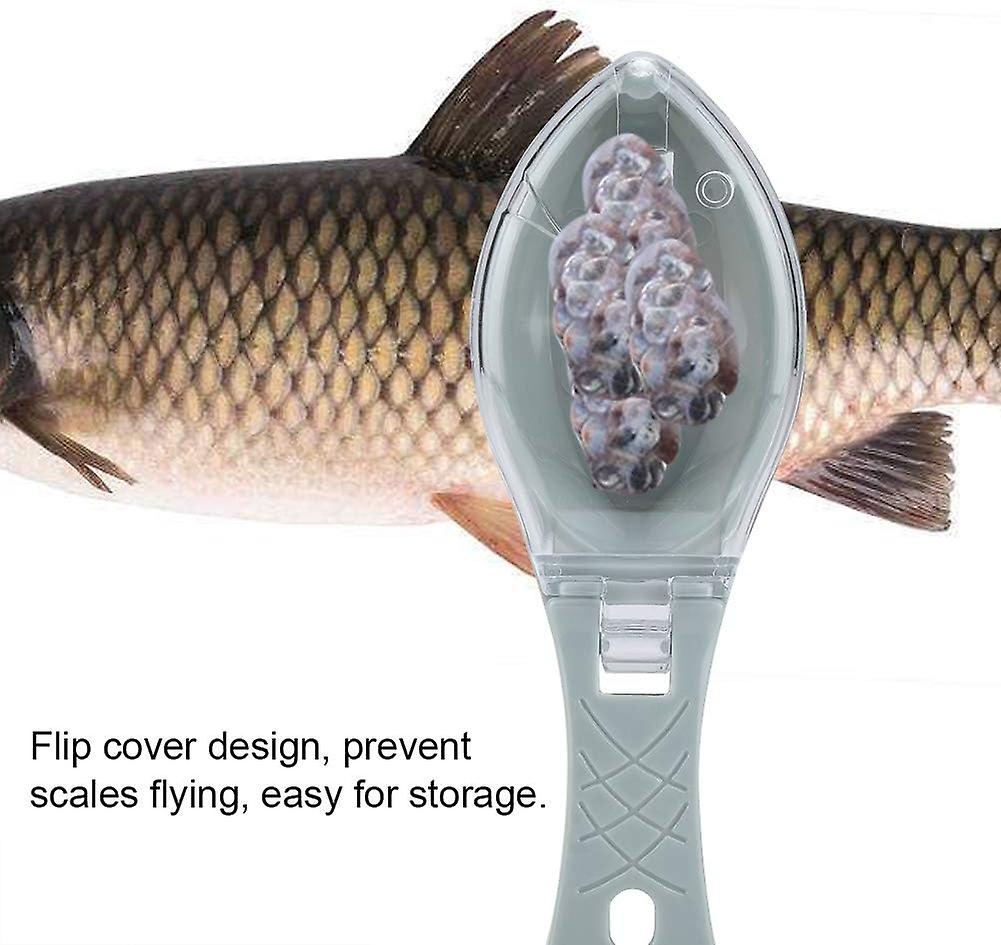 Fish Scraper, Plastic Fish Skin Remover, Kitchen Fish Scraping Brush ...