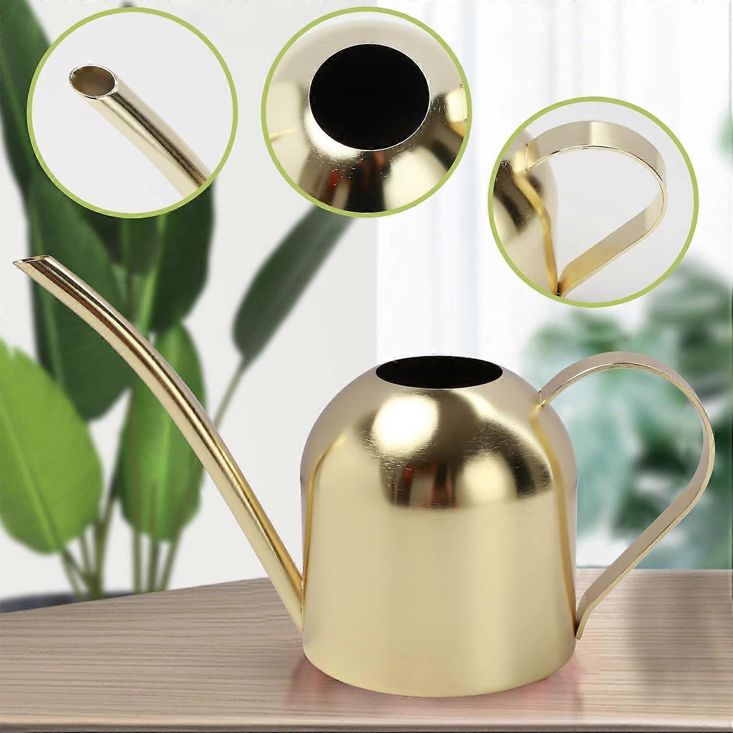 Stainless Metal Watering Can 500ml Mini Watering Can Small Stainless ...