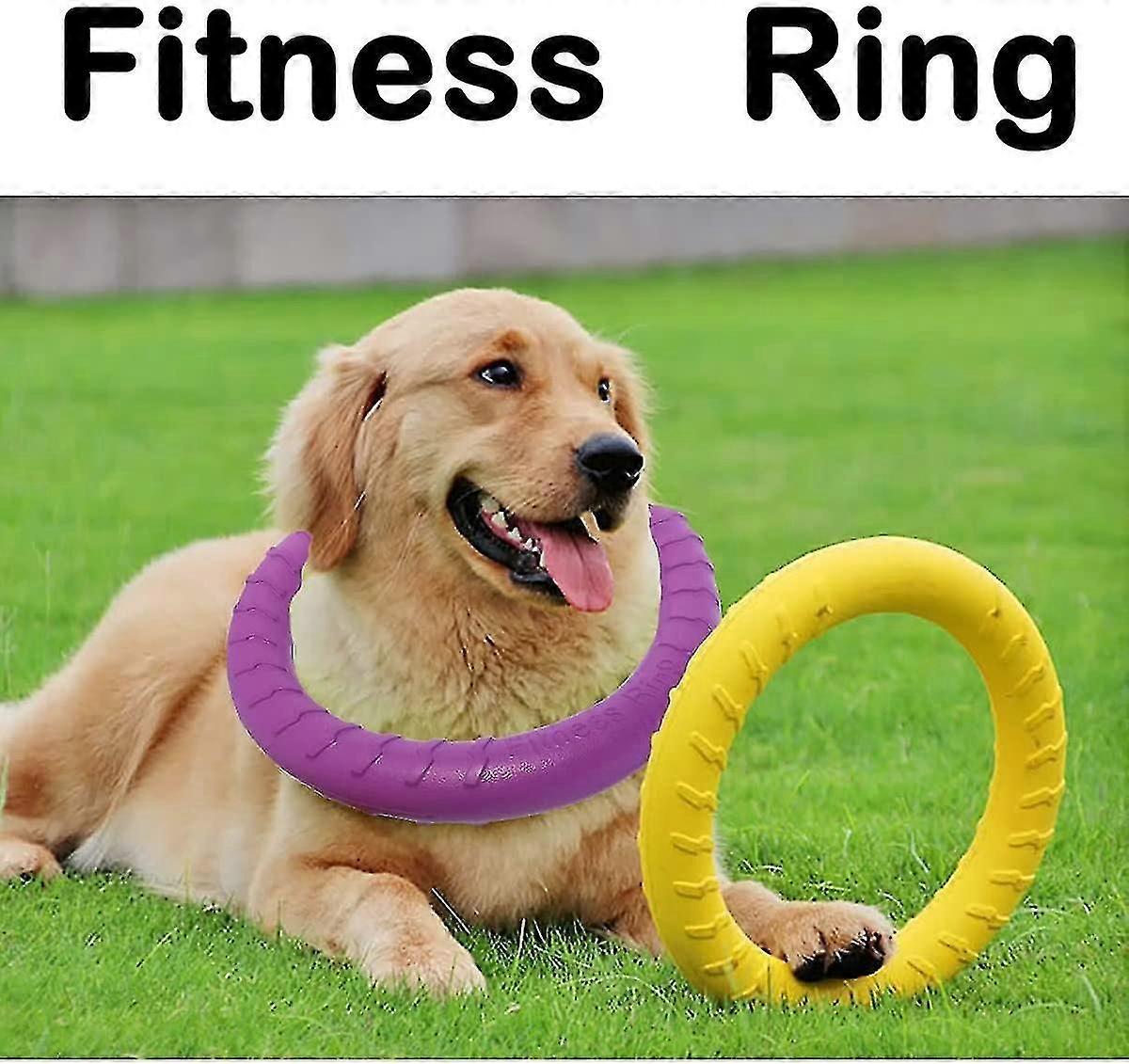 Dog Fitness Ring, Dog Bite Ring, Dog Agility Exercise Equipment ...
