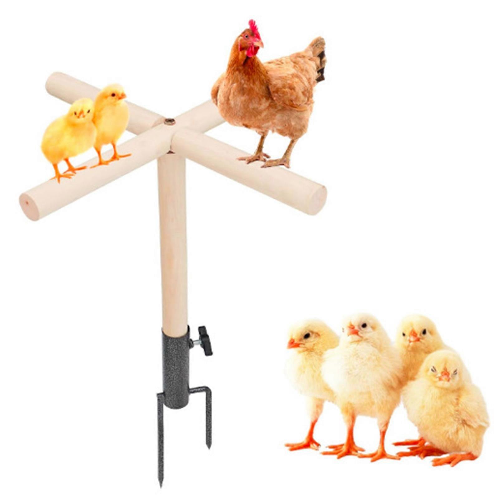 Chicken Perch Toy Wooden Chick Perch Stand with Metal Ground Stake Coop ...