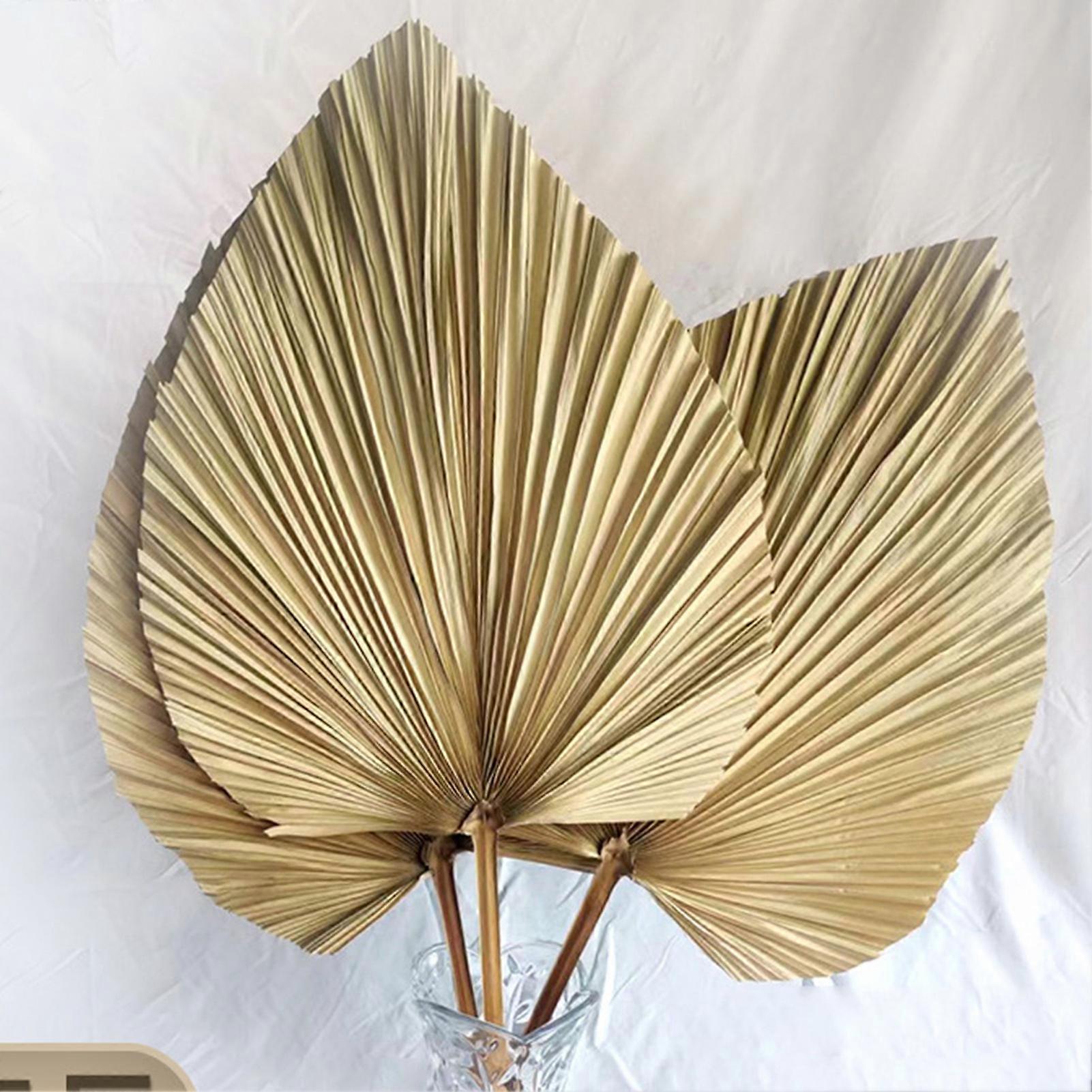 Large Natural Palm Leaf Decor Heart Round Shape Palm Fans for Home Wall ...
