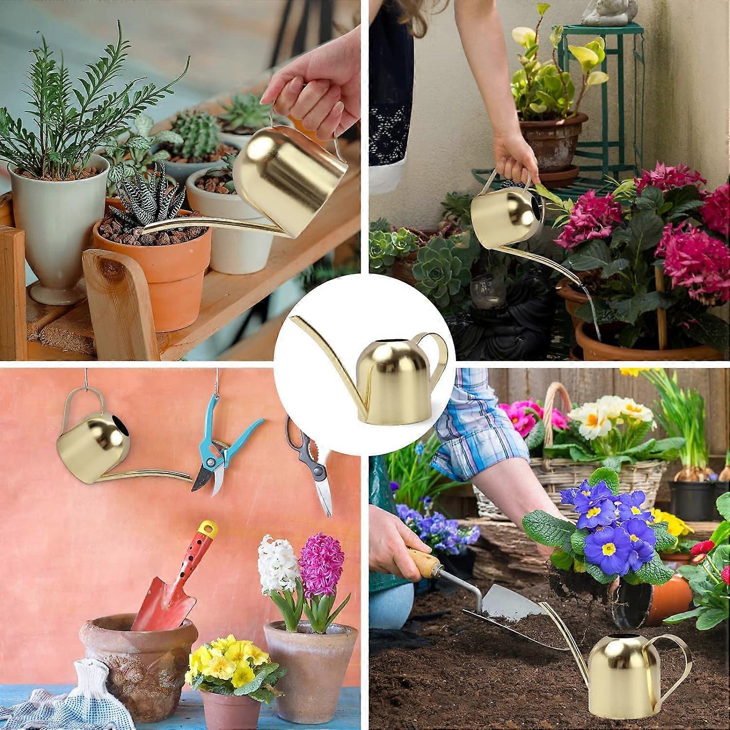 Stainless Metal Watering Can 500ml Mini Watering Can Small Stainless ...