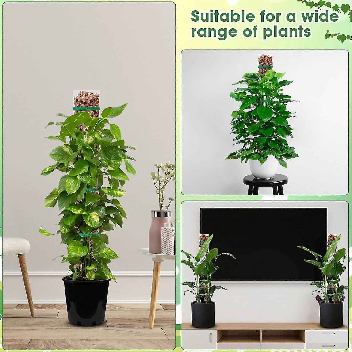 Monstera Trellis 24 Inch Moss Rod Plants Moss Poles Set Trellis Indoor ...