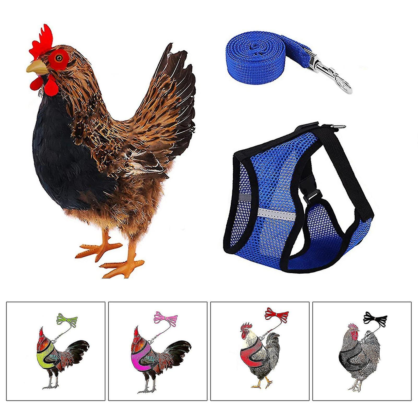 1 Set Chicken Harness With Leash Breathable Adjustable Chicken Duck ...