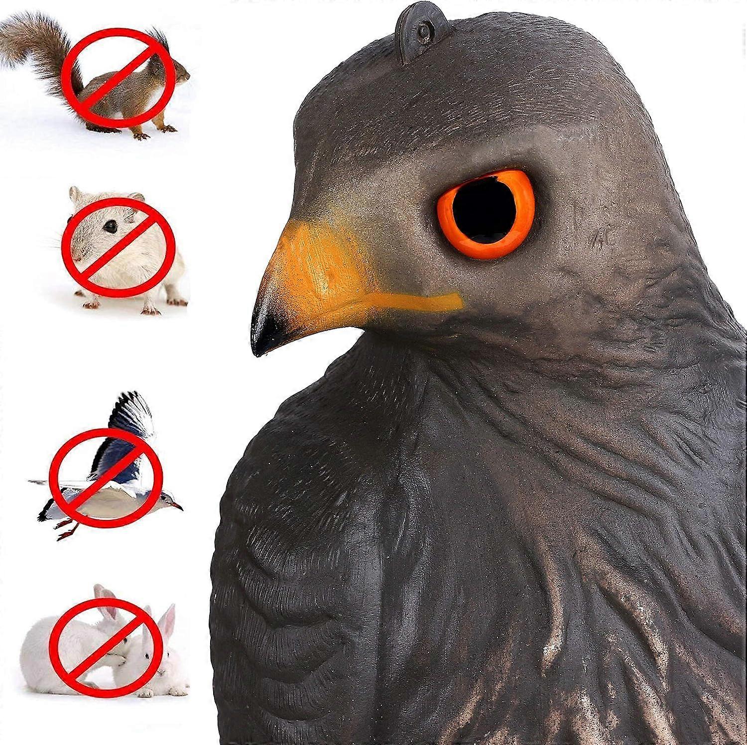 Large Realistic Hawk Eagle Scarecrow Garden Bird Repeller Anti Pigeon ...