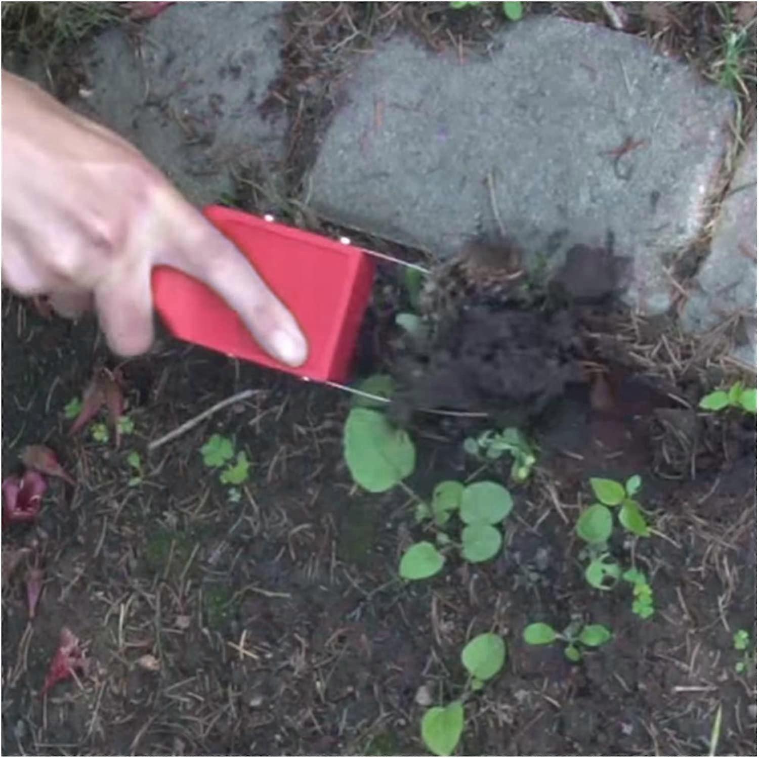 Loop Weeder, Gardening Weed Cutter/Remover, Garden Weeding Scraper Tool ...