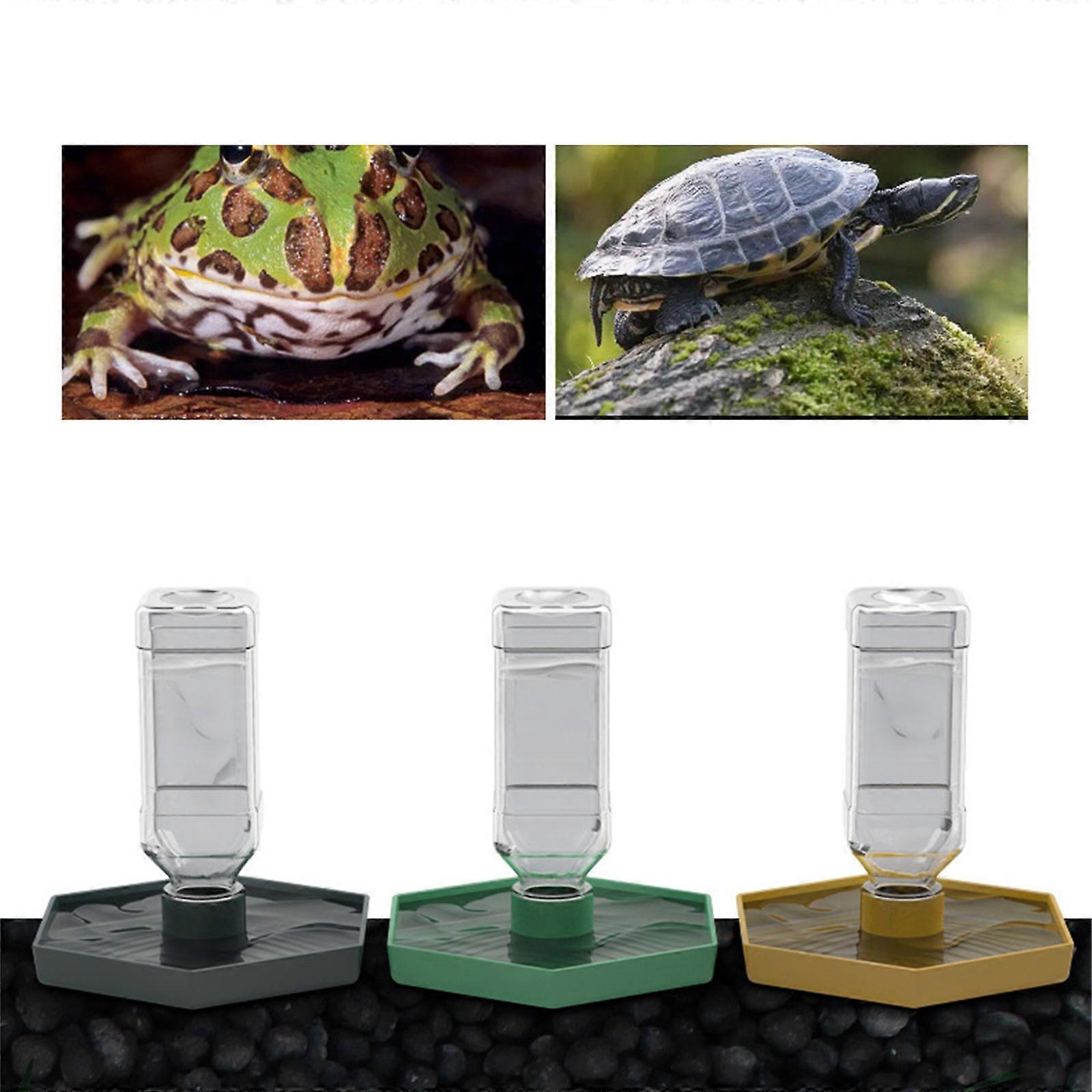 Automatic Water Dispenser for Reptiles Easy Clean Food Feeder Water ...