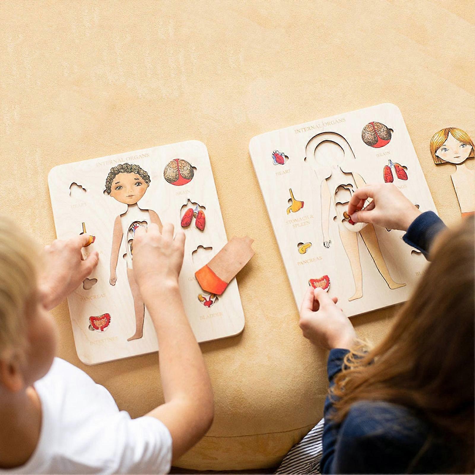 Wooden Anatomy Puzzles for Toddlers Girl/Boy Full Body Preschool ...