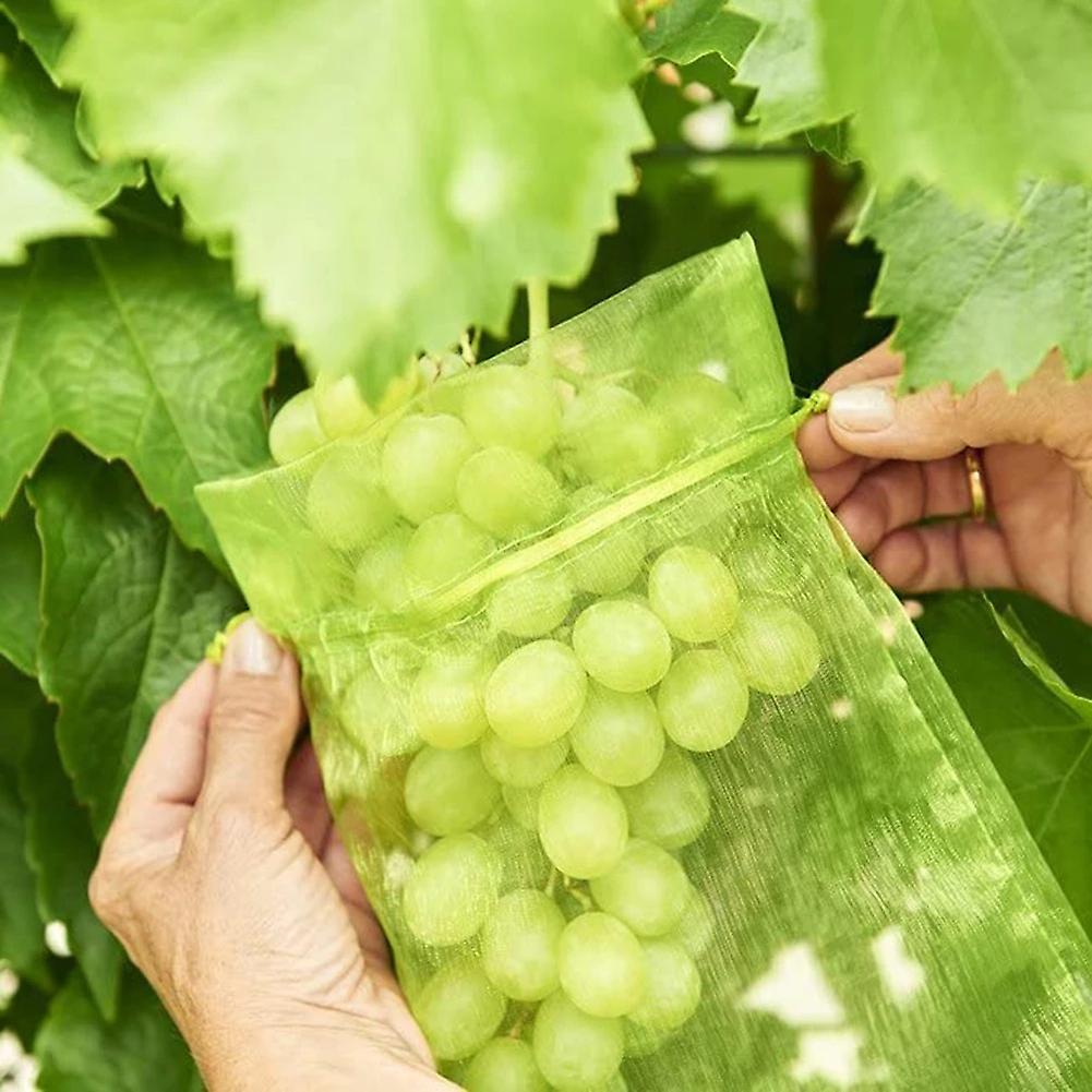 White Grape Protection Bag, 100pcs Bunch Protection Bag, 17 X 23 Cm ...