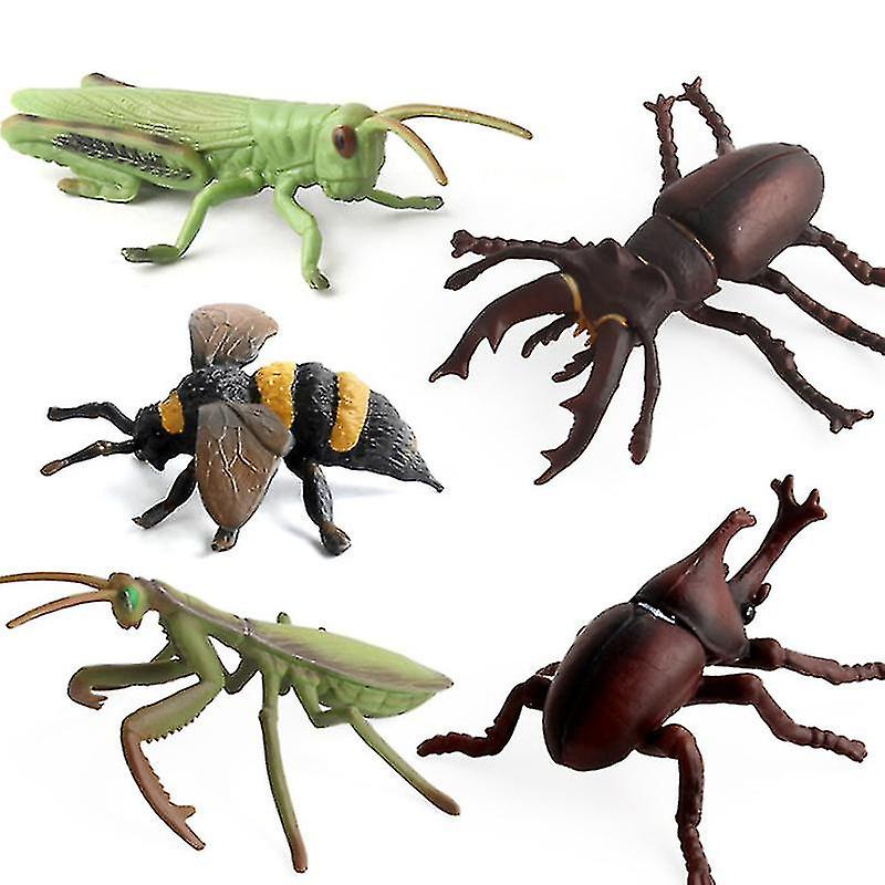 Children's Realistic Insect And Insect Animal Model Doll Toy 8-piece ...