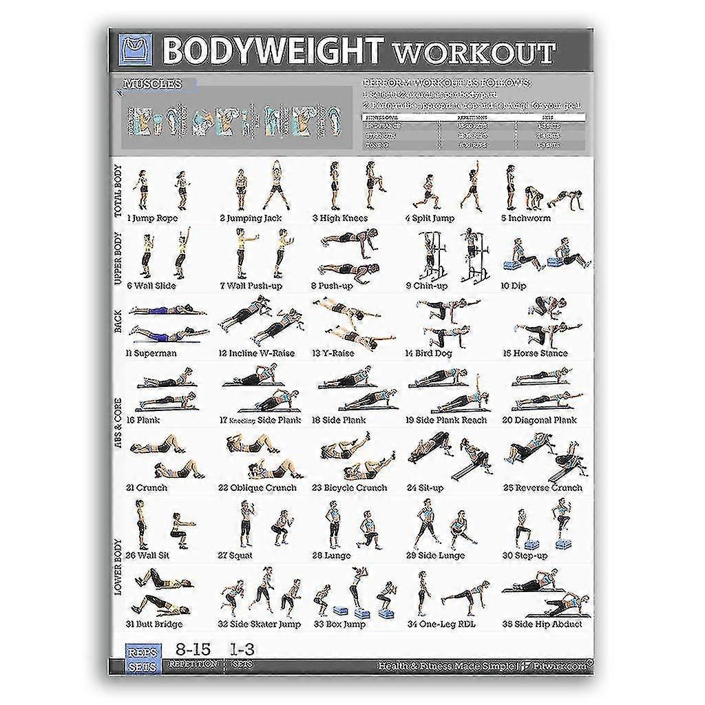 Learning Dumbbell Workout Exercise Poster Laminated Free Weight Body ...