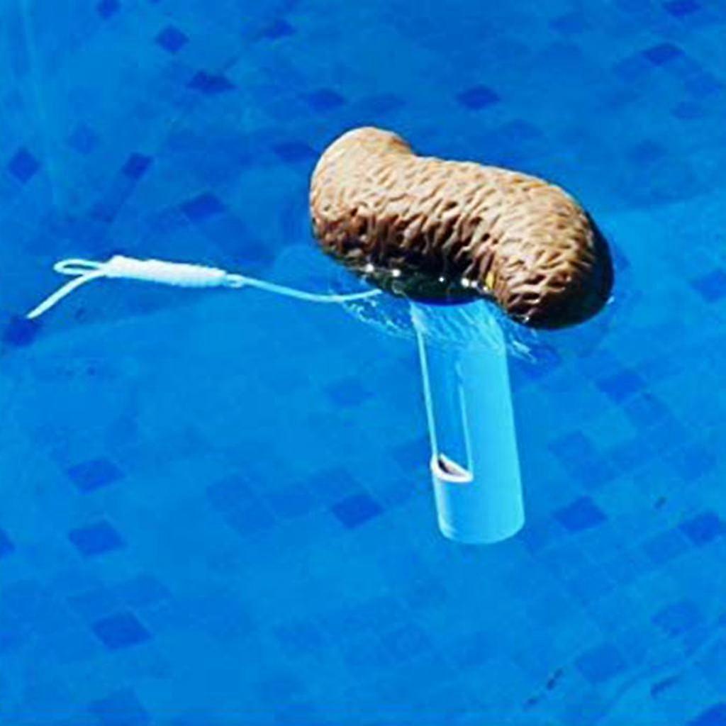 funny pool thermometer floating water thermometer floating poop prank ...