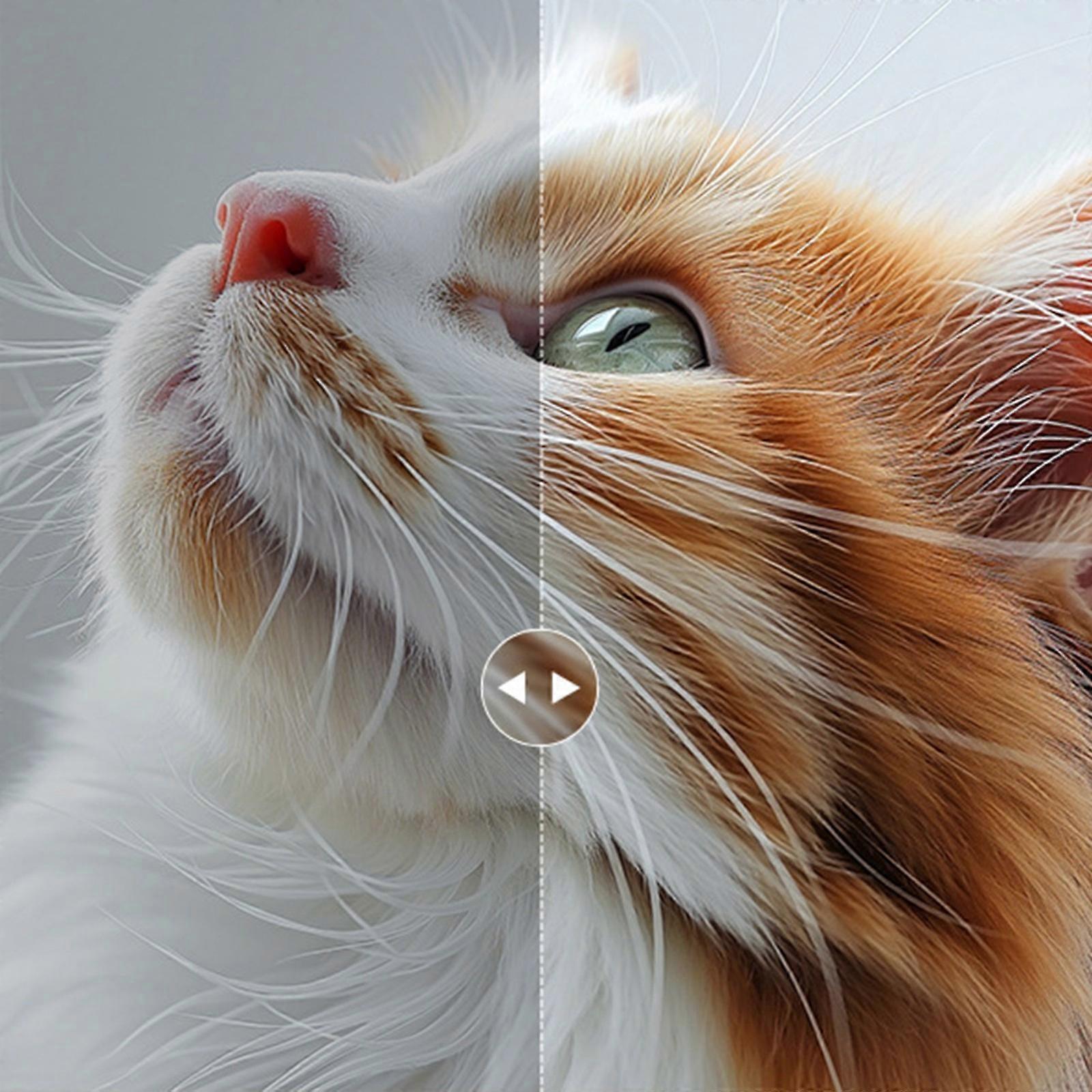 Type C to DP Cable 8K60Hz High Resolution Display Cord USB C to ...