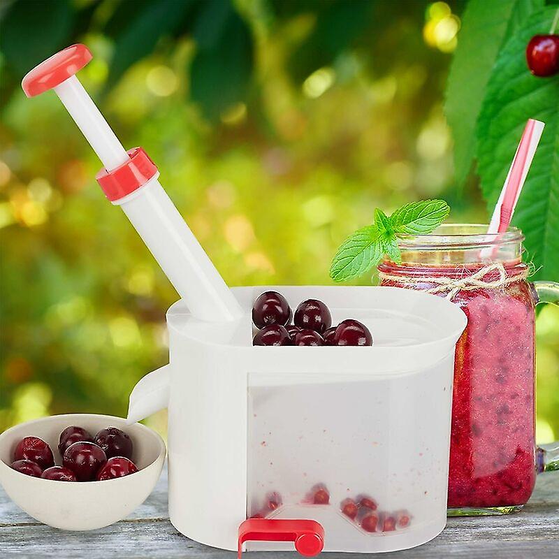 Relaxdays Cherry Pitter, With Suction Cup, Collection Container ...