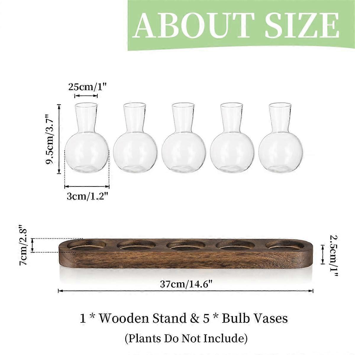 Plant Terrarium Propagation Station, Glass Planter Bulb Vase with ...