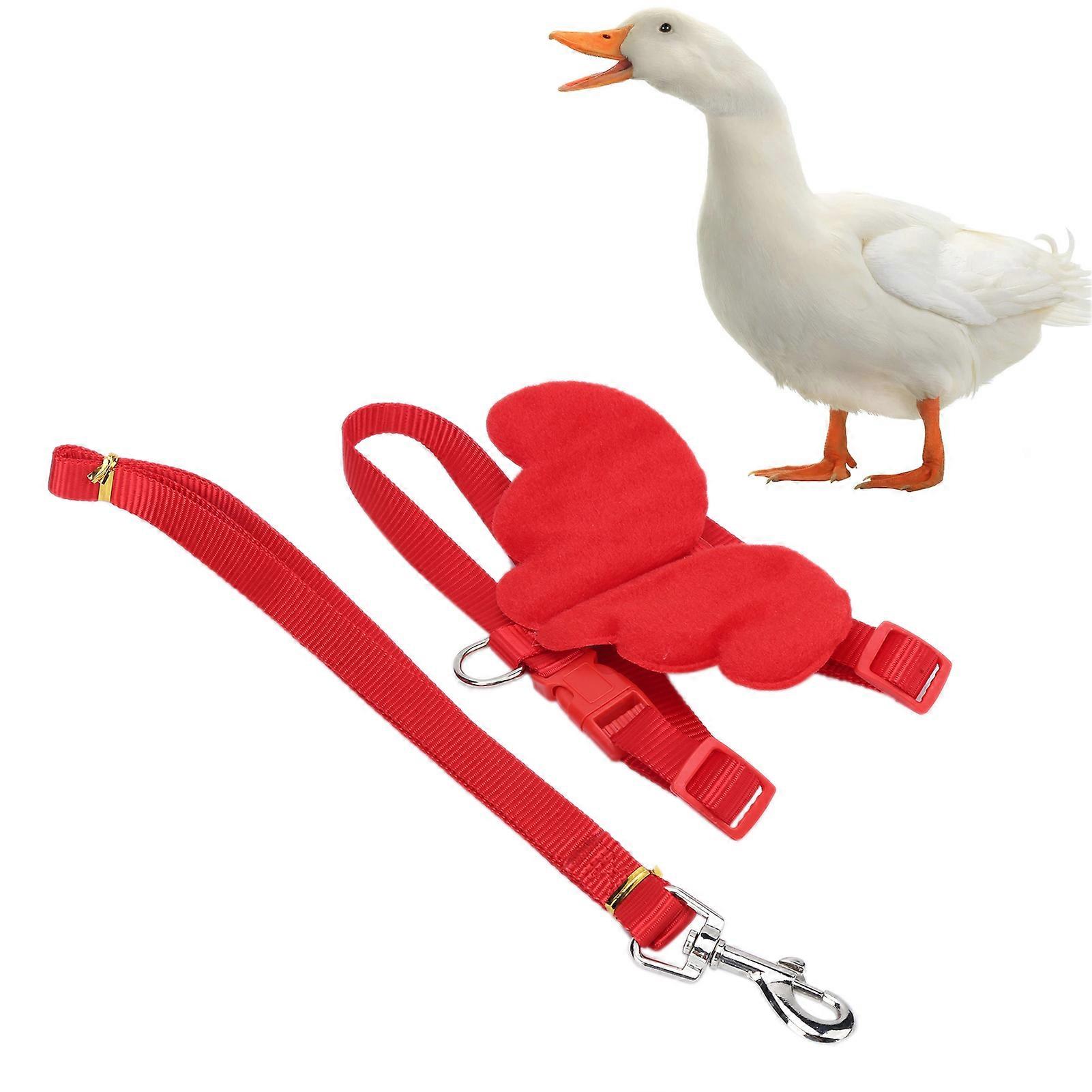 Ducks Traction Rope Adjustable Chest Strap Outside Walking Harness ...