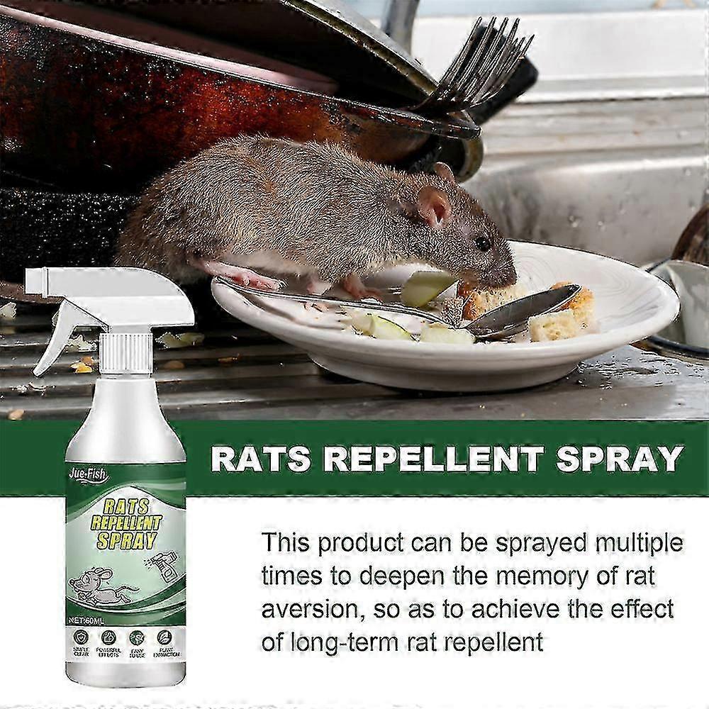 Peppermint Essential Oil - Mouse Mice Bug Insect Spider Repellent ...