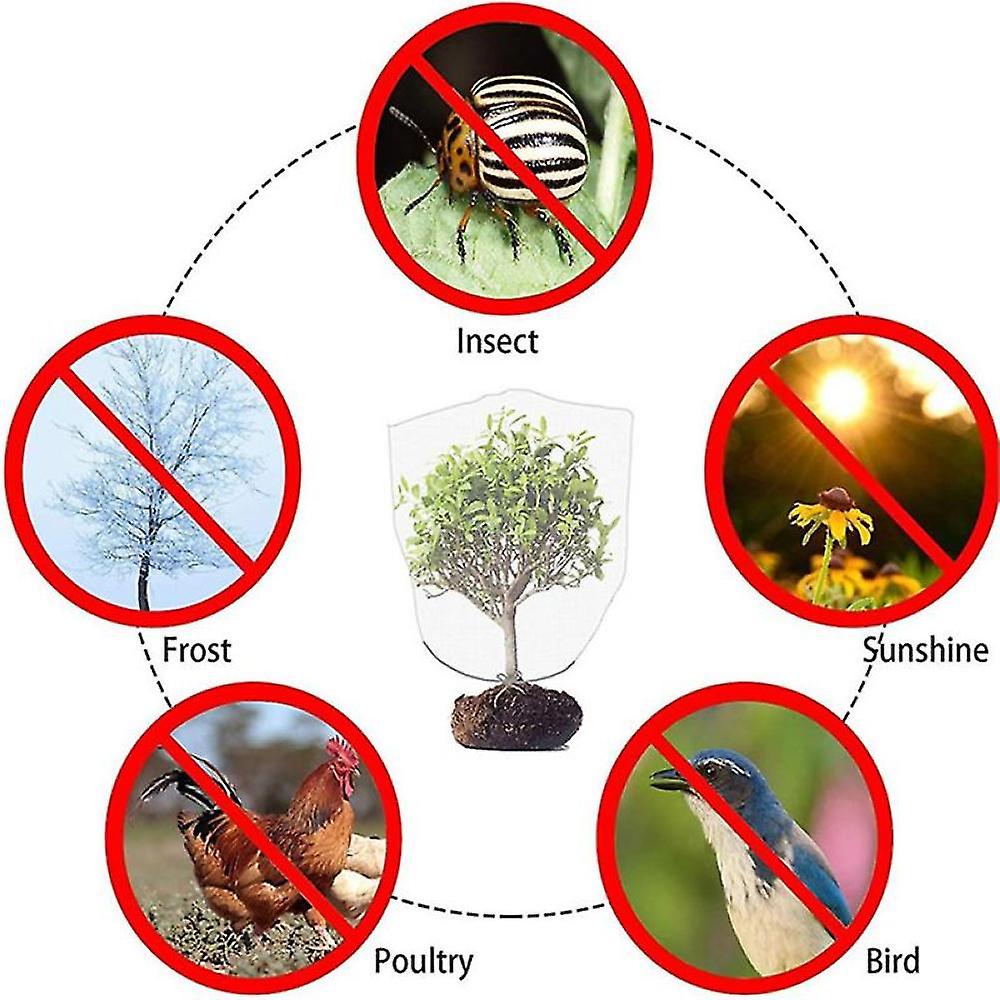 Plant Insect-proof Net, Insect-proof Bag, Drawstring Anti-bird Net ...