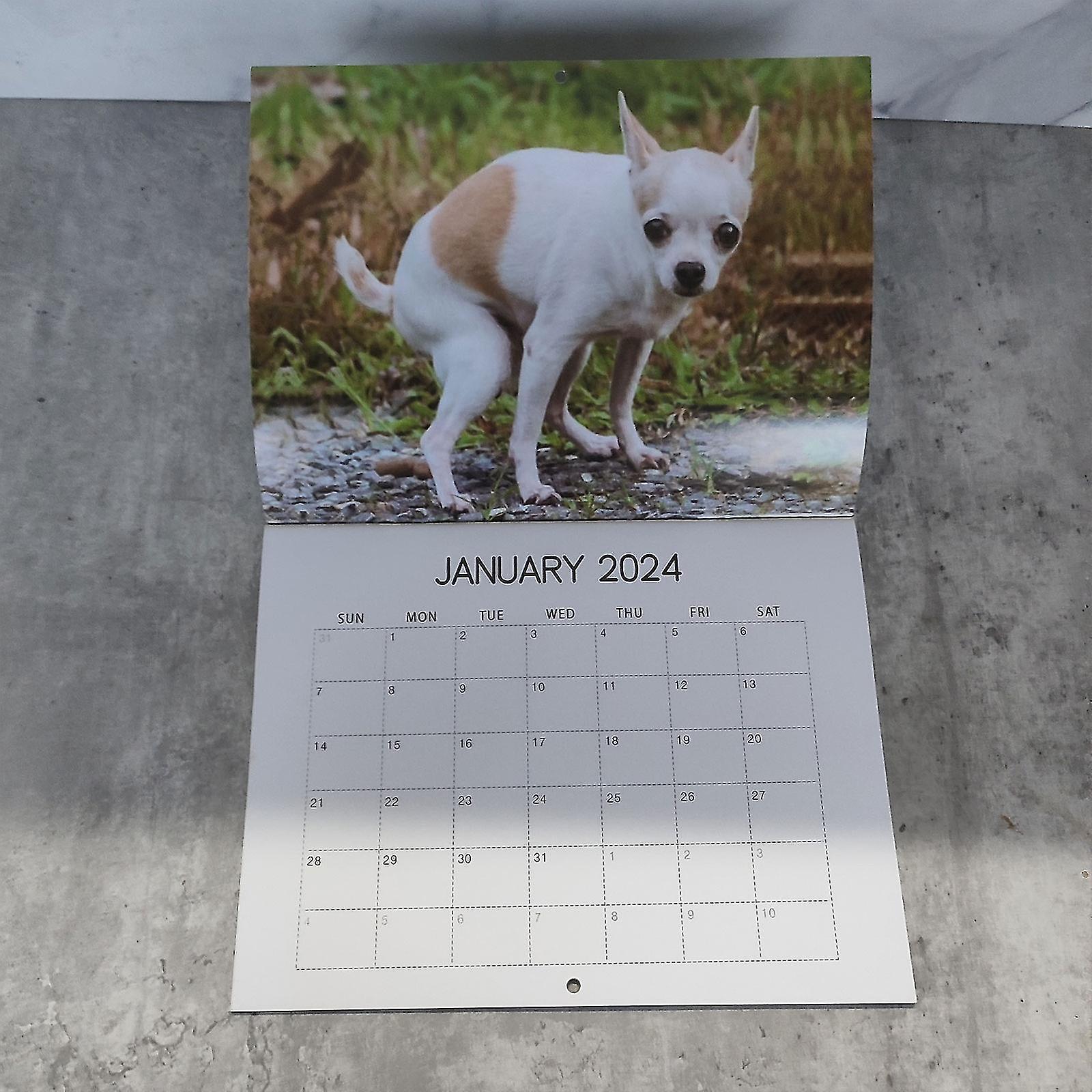 New Arrive 2024 Pooping Dogs Calendar, Dog Pooping In Beautiful Places ...