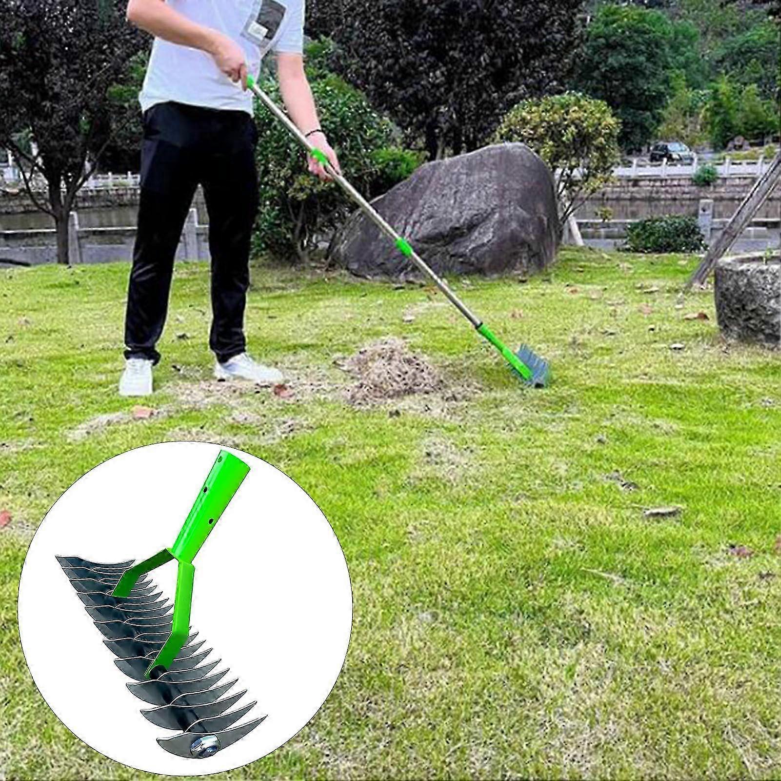 Steel Tine Thatch Rake Soil Rake Cultivator Multi-Purpose Gardening ...