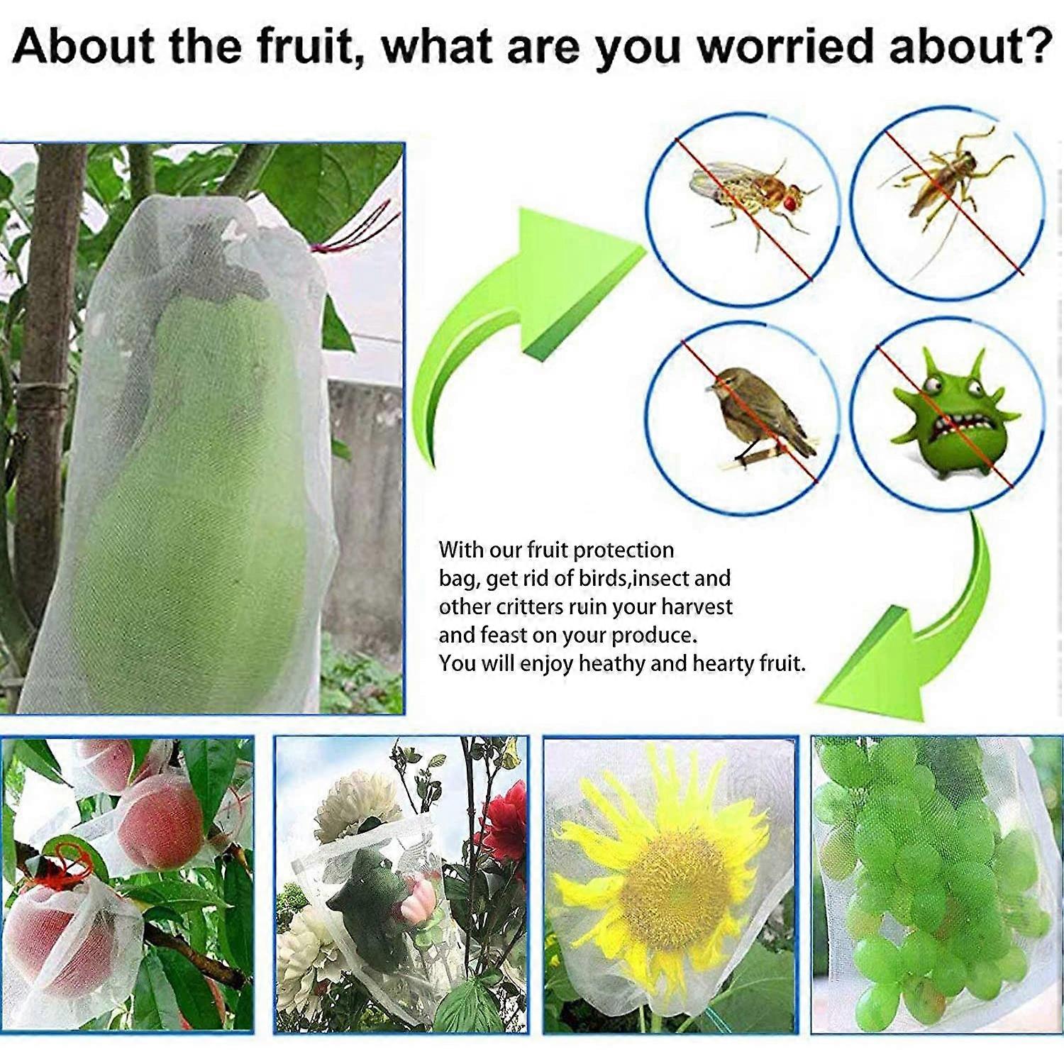 Fruit protection bag grape insect-proof net greenhouse vegetable insect ...