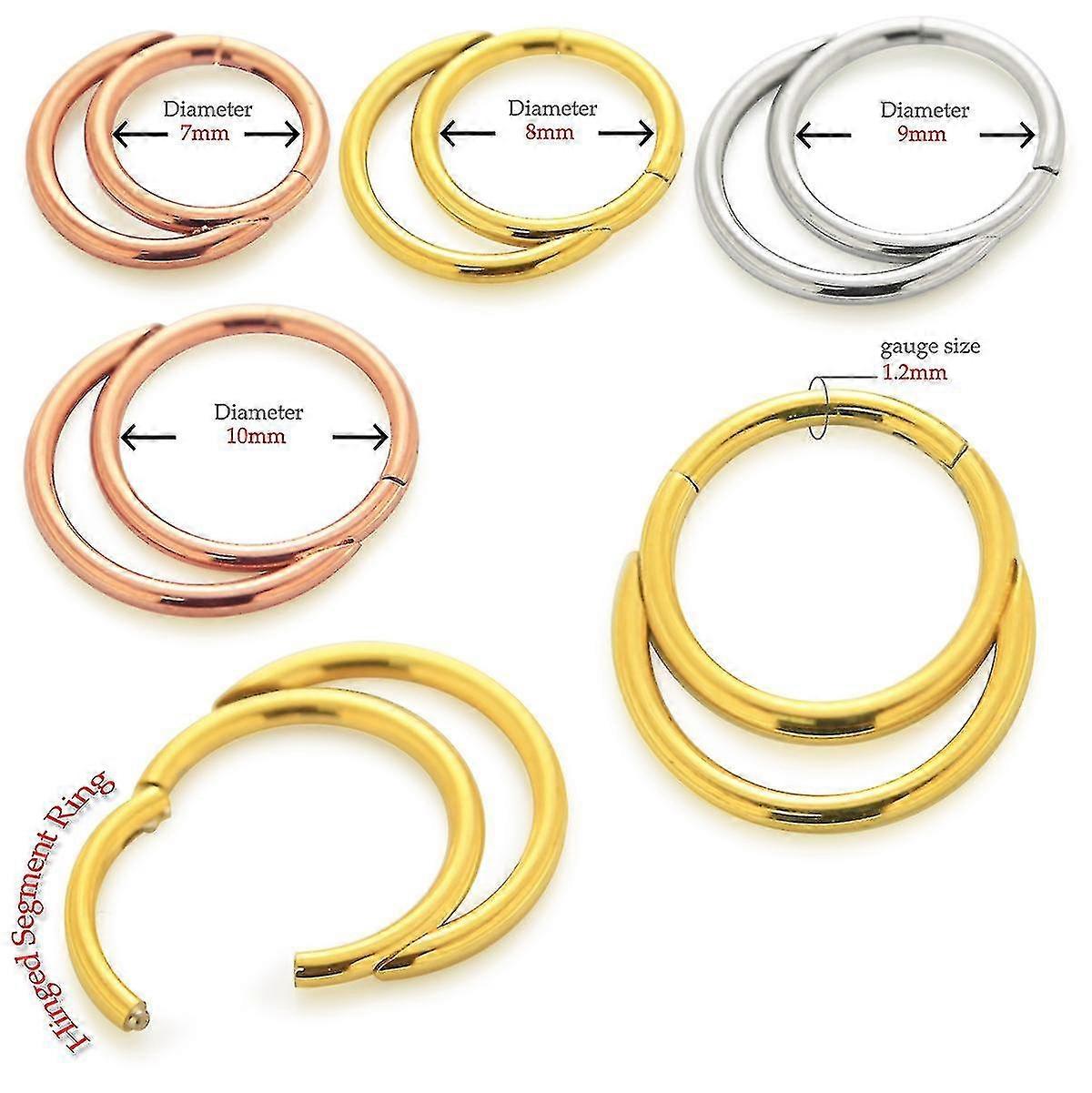 16 Gauge ( 1.2mm ) - 9mm Diameter 316l Kirurgisk Stål Twin Circle Gångjärn Segment Näsring ...