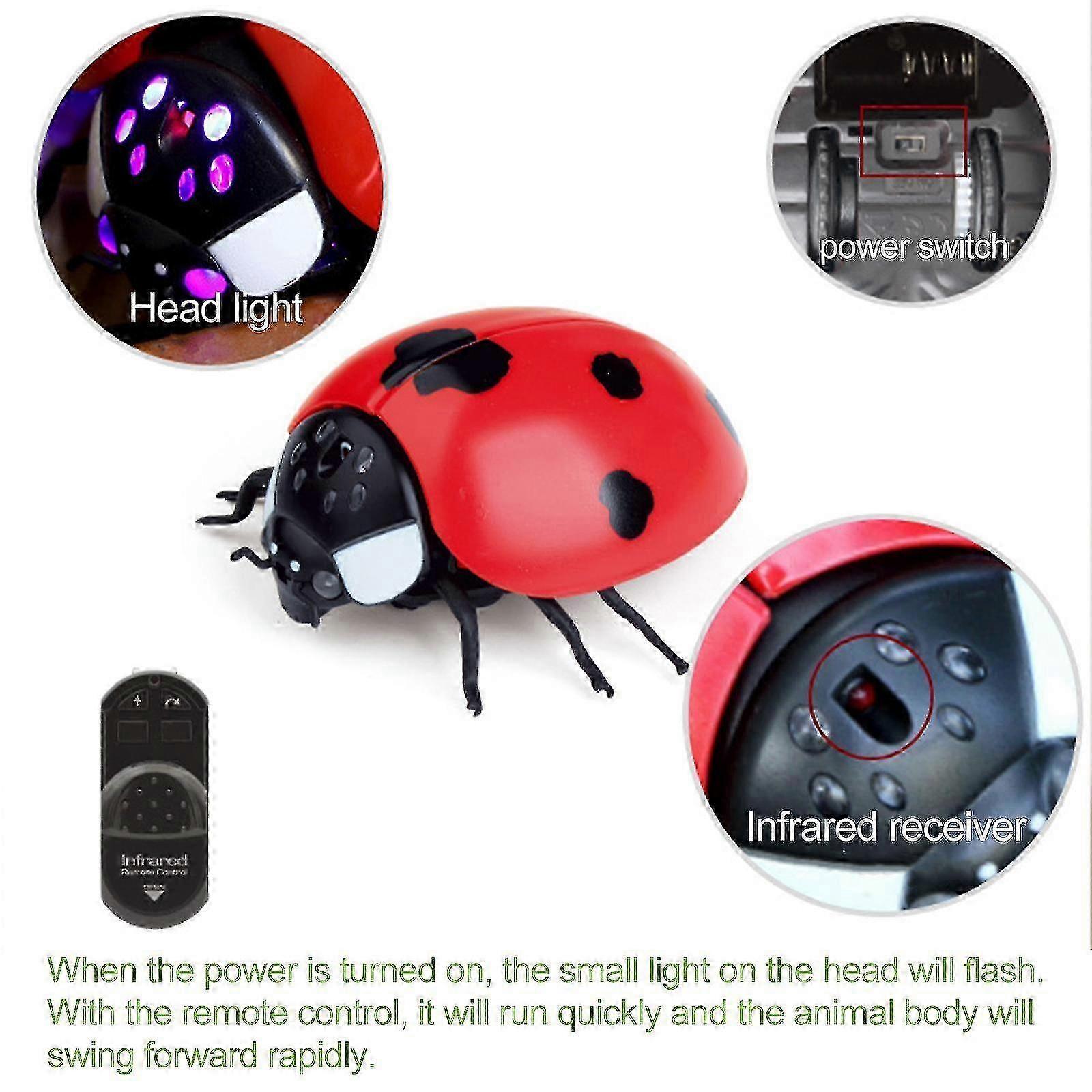 Artificial Electronic Insect Toy Trickster Multicolor Novelty Home ...