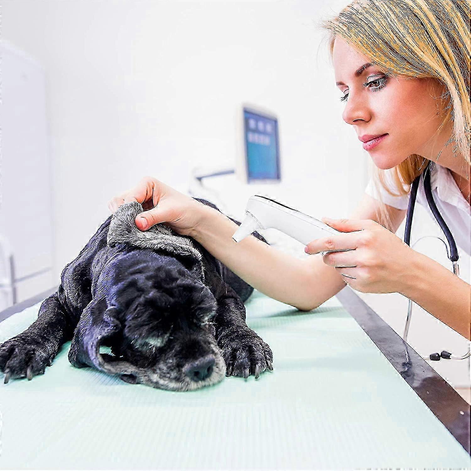 Digital pet thermometer for ear temperature monitoring | Fruugo UK