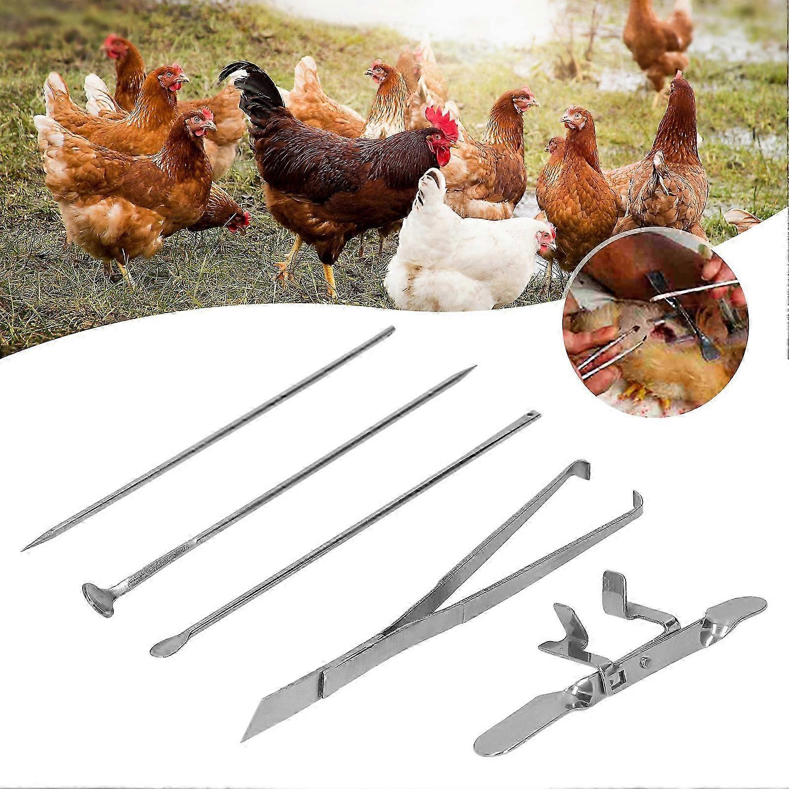 Chicken Capon Kit,Capon Knife Tool,Cock Rooster Caponizing Instruments ...