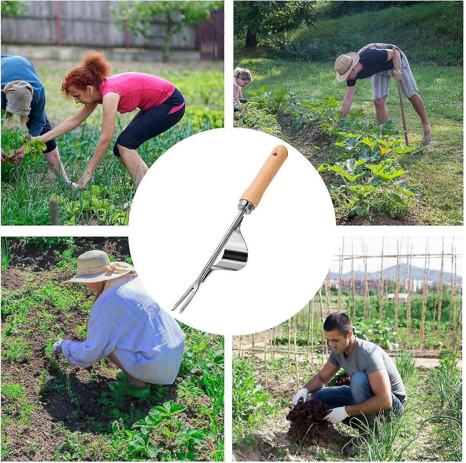 Weed Puller Tool, Steel Long Handle Weed Cutter for Gardening, Plant ...