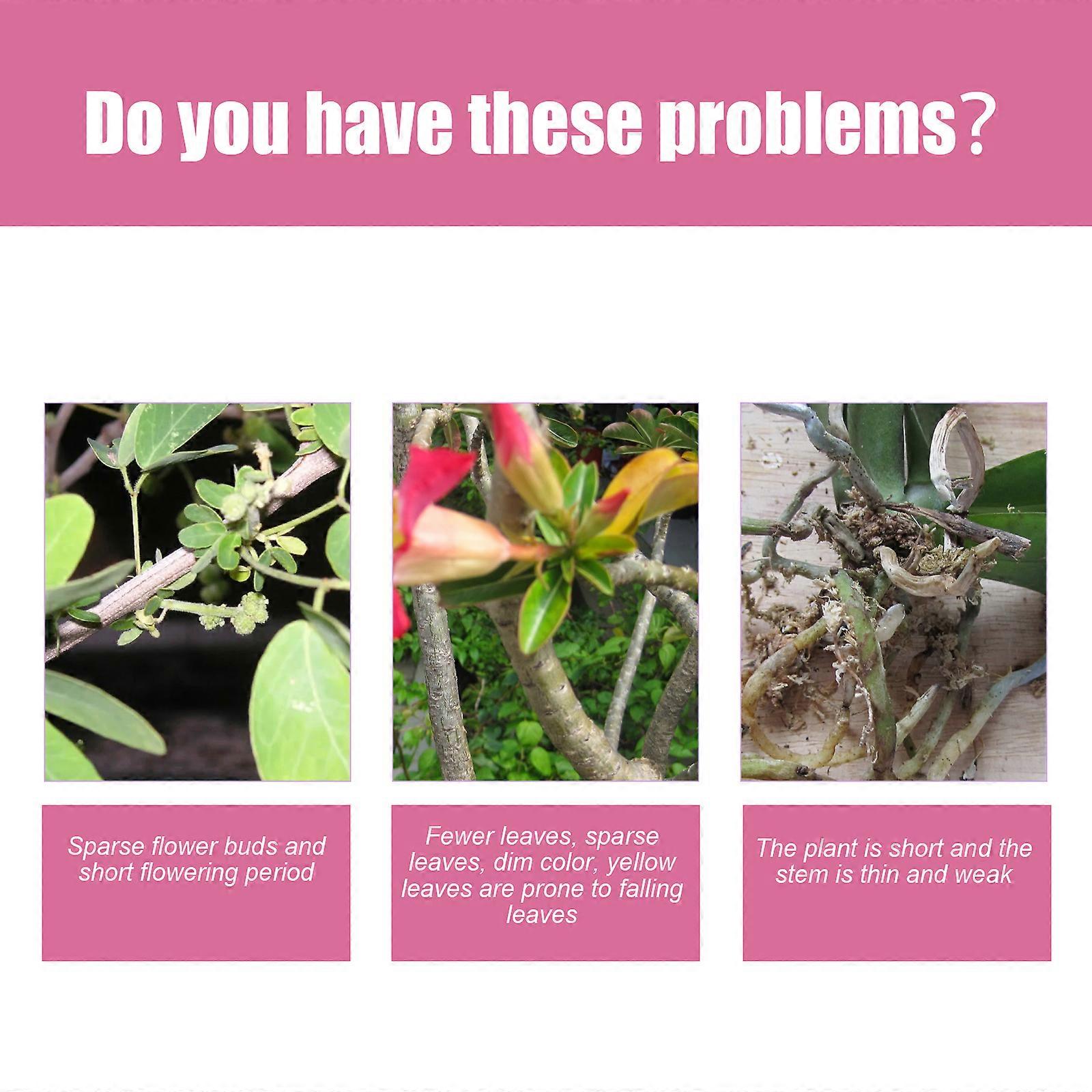 Premium 3-1-2 Liquid Fertilizer Spray For Desert Rose Plant, Special ...