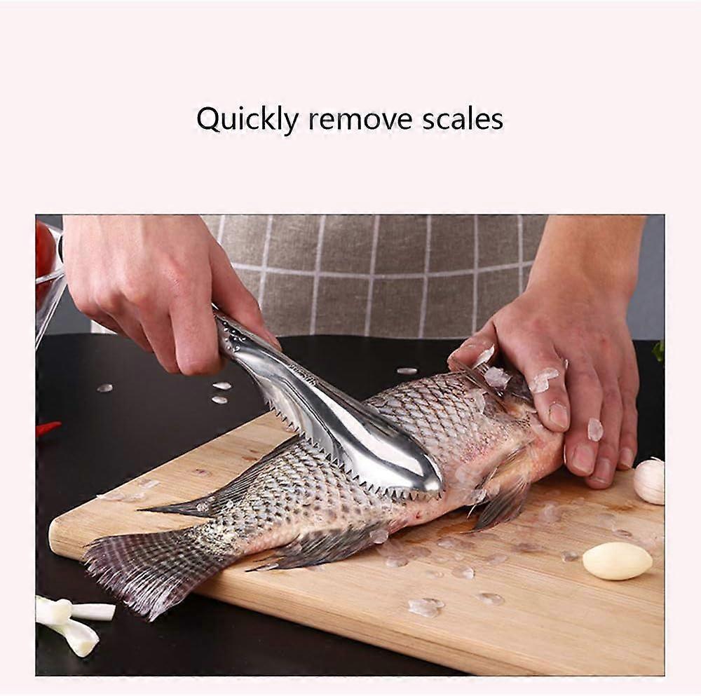 Ecailleur Poissons, Grattoir cailles de Poisson en 304 Acier Inoxydable ...