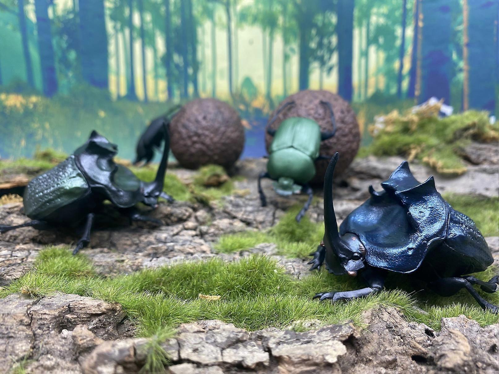 Bandai So-Ta Japanese Gashapon Egg Big Biological Map Of Scarab ...